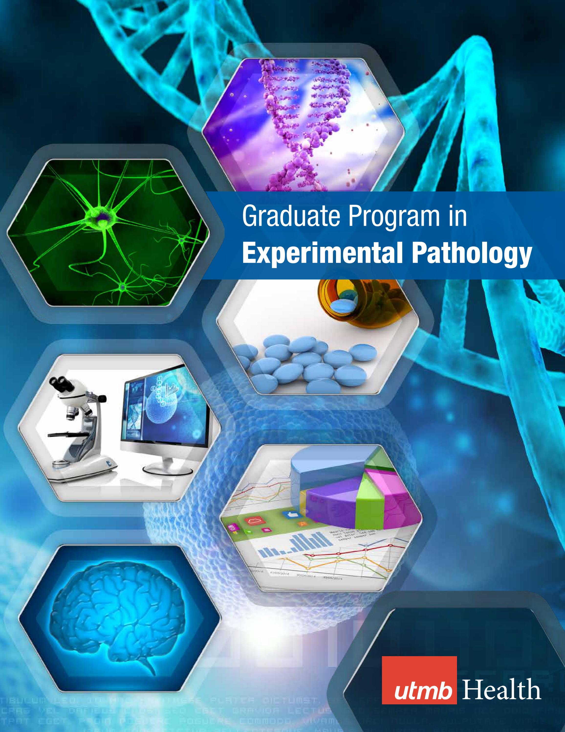UTMB Graduate Program in Experimental Pathology by UTMB Health - Issuu