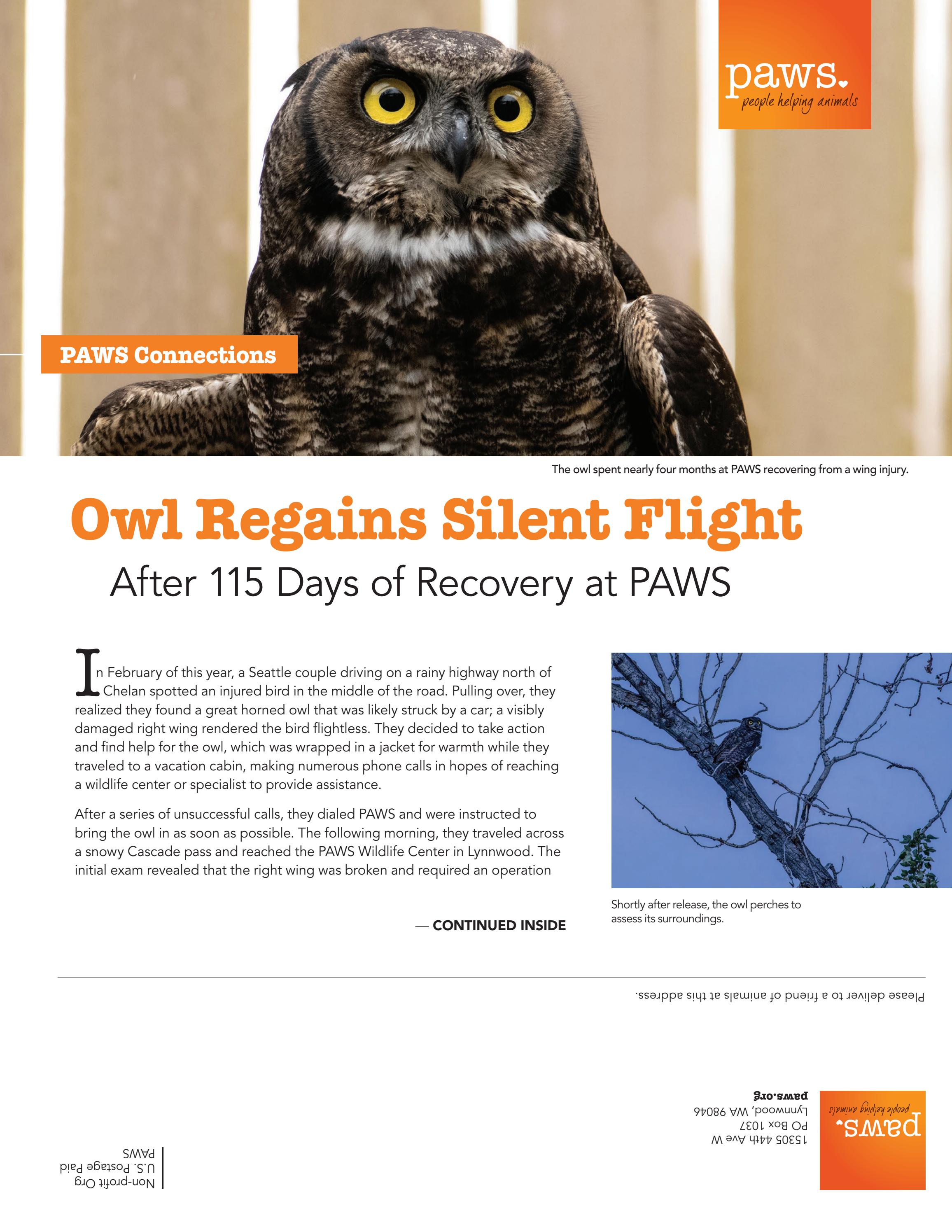 PAWS Mini Magazine Summer 2023 by PAWS - Issuu