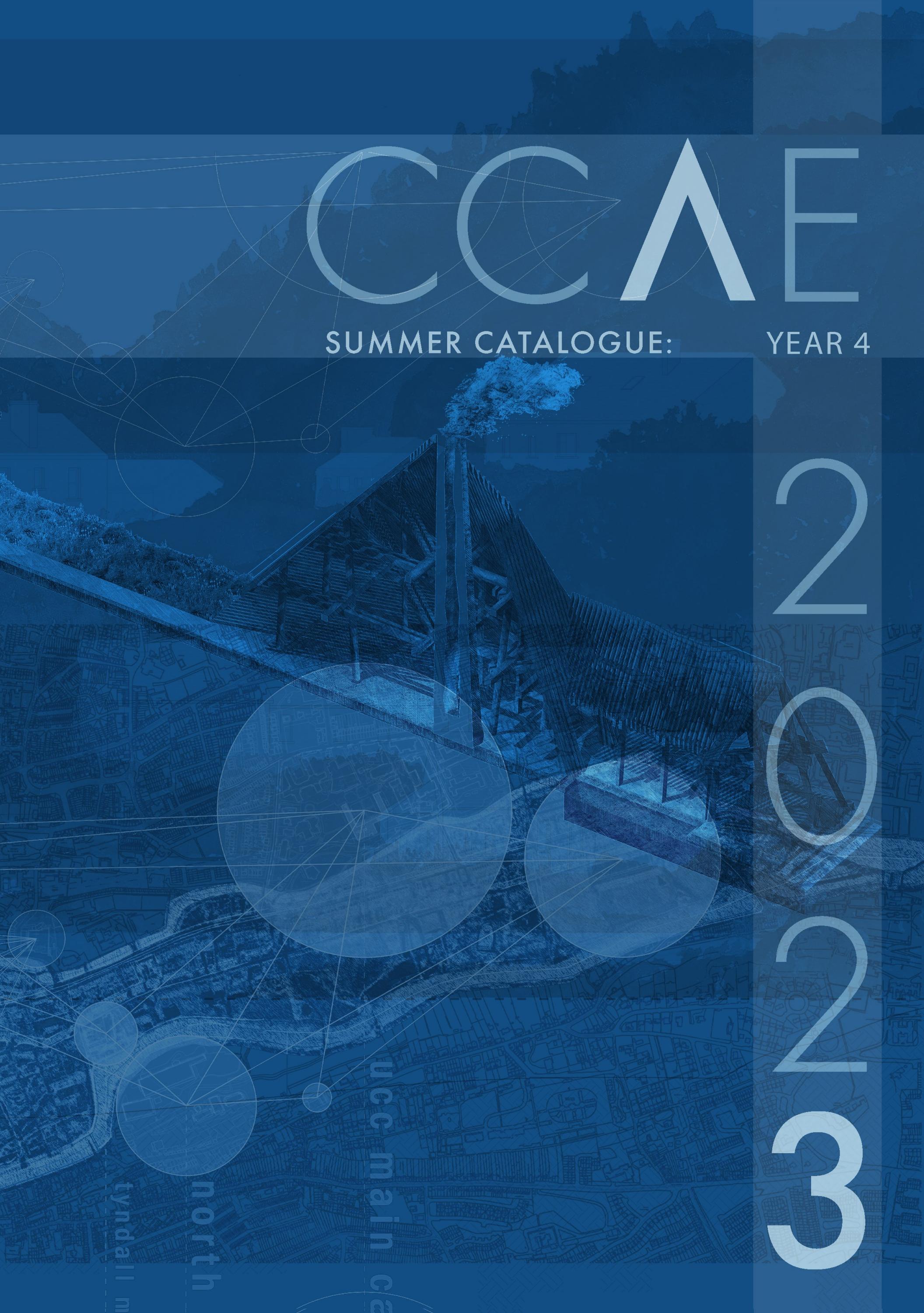 2023 CCAE Summer Undergraduate Catalogue: Year 4 by Cork Centre for ...