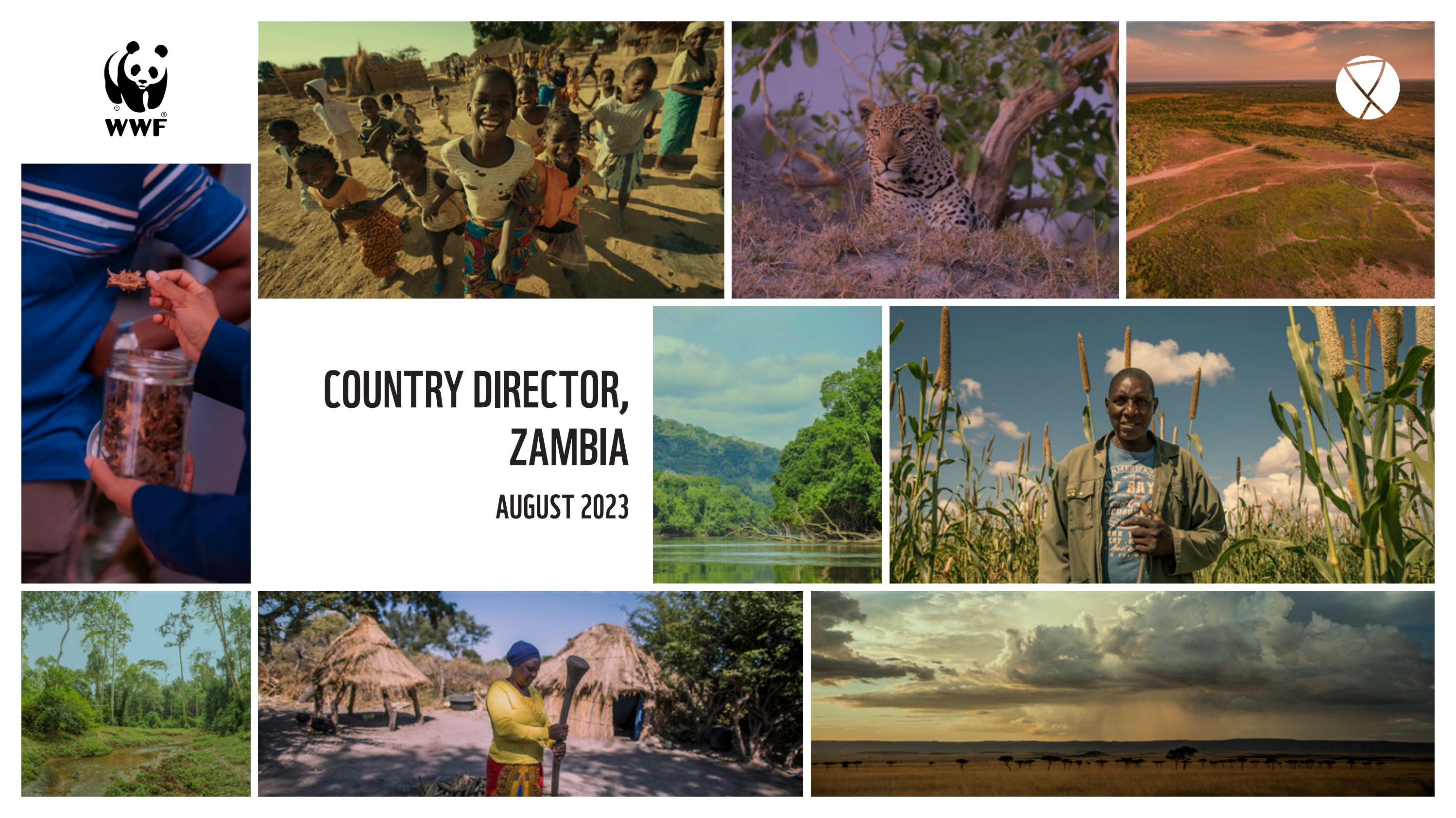 WWF - Country Director, Zambia by Oxford HR - Issuu