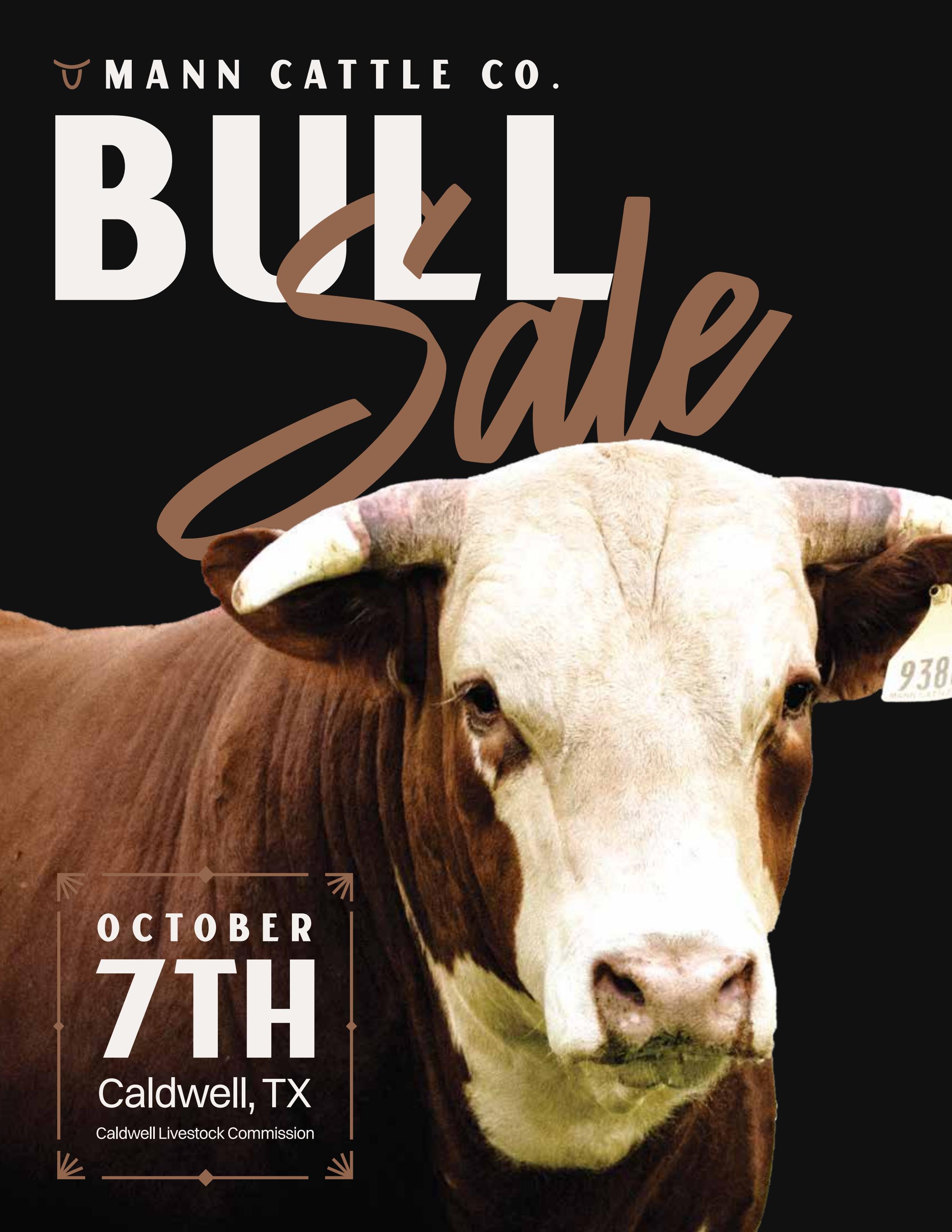 Mann Cattle's 5th Annual Fall Production Bull Sale by Mann Cattle ...