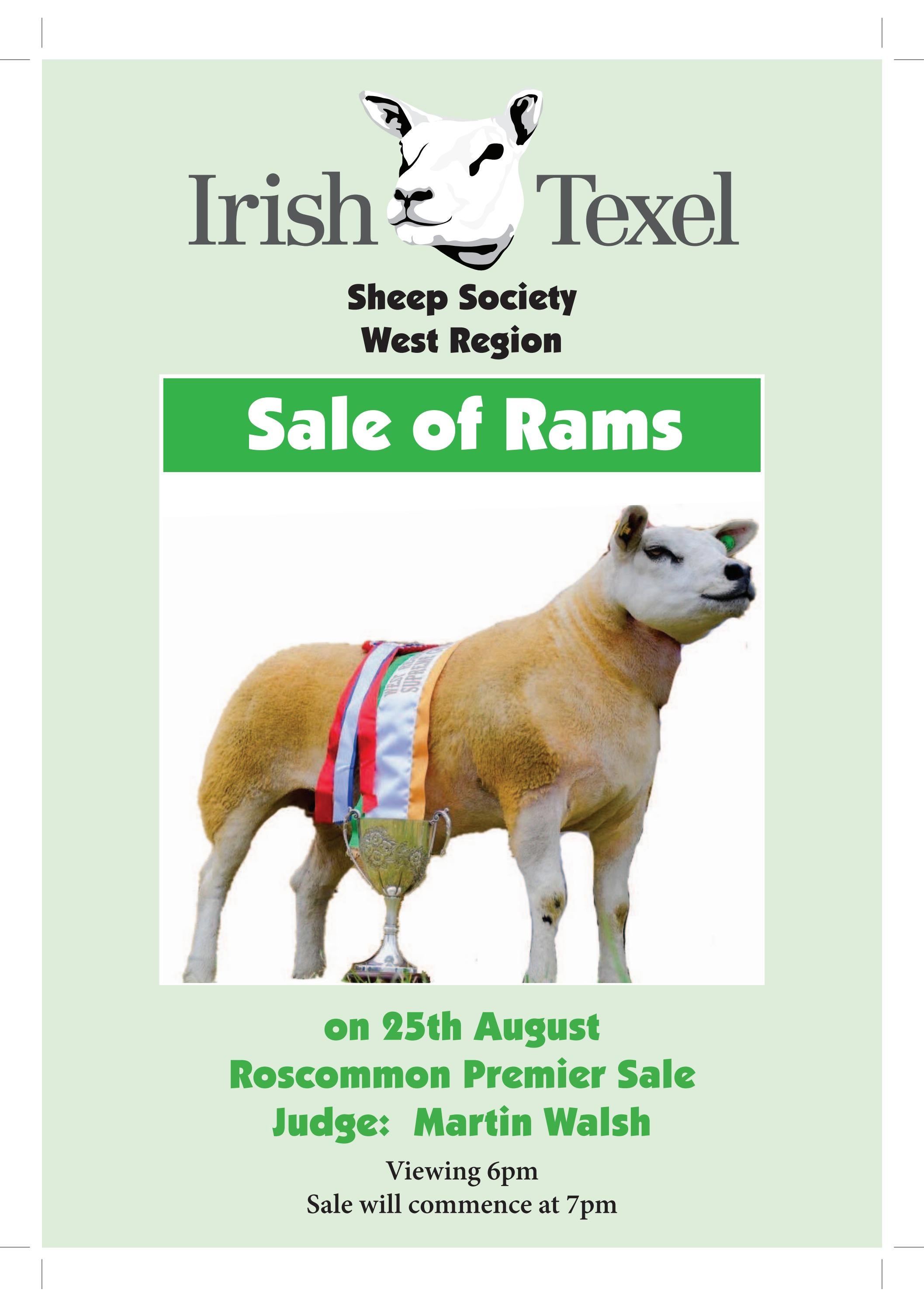 Roscommon Sale 25th August by Irish Texel Sheep Society - Issuu