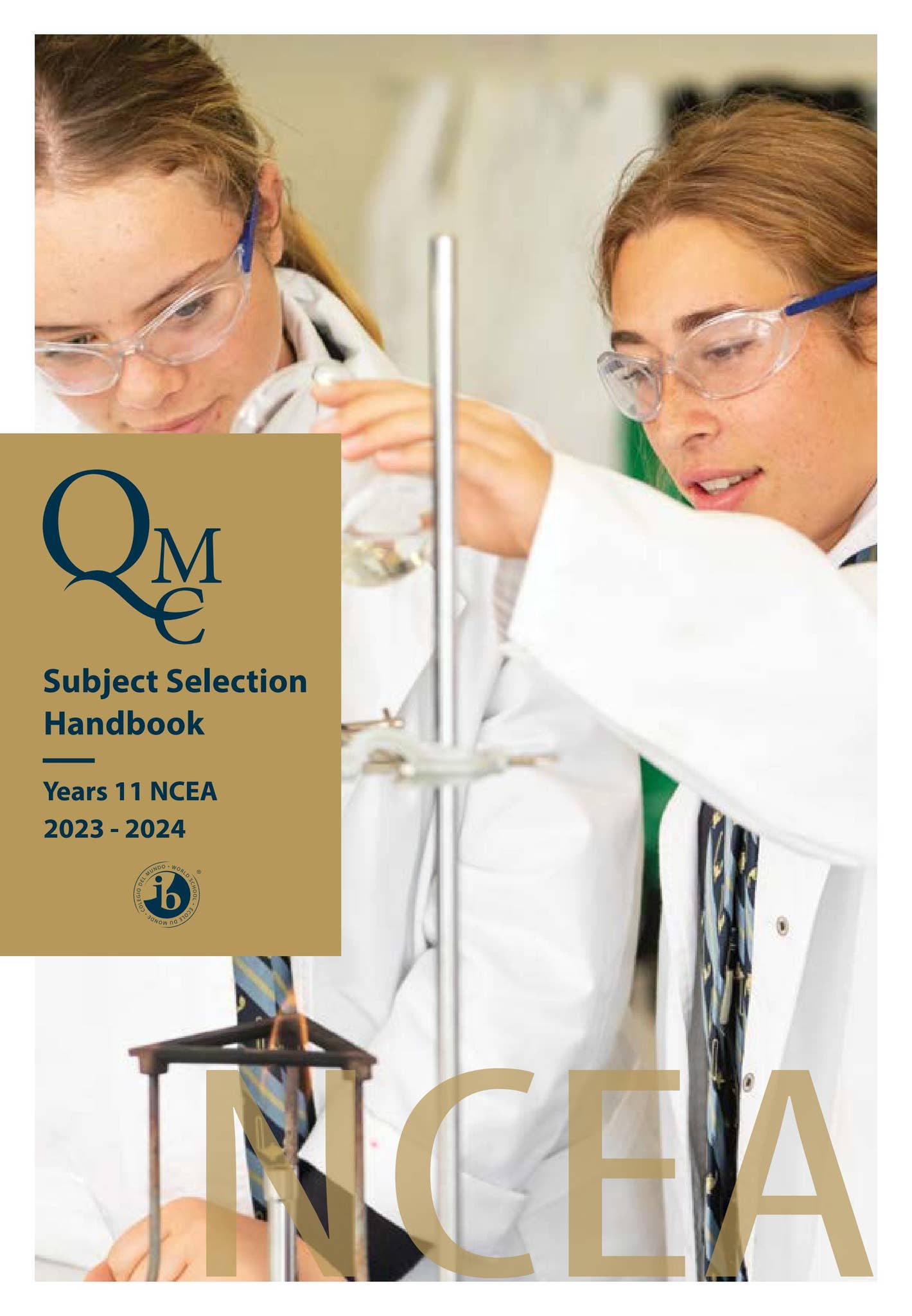 NCEA Year 11 Subjects Handbook 2023-2024 Aug 2023_WEB.pdf by ...