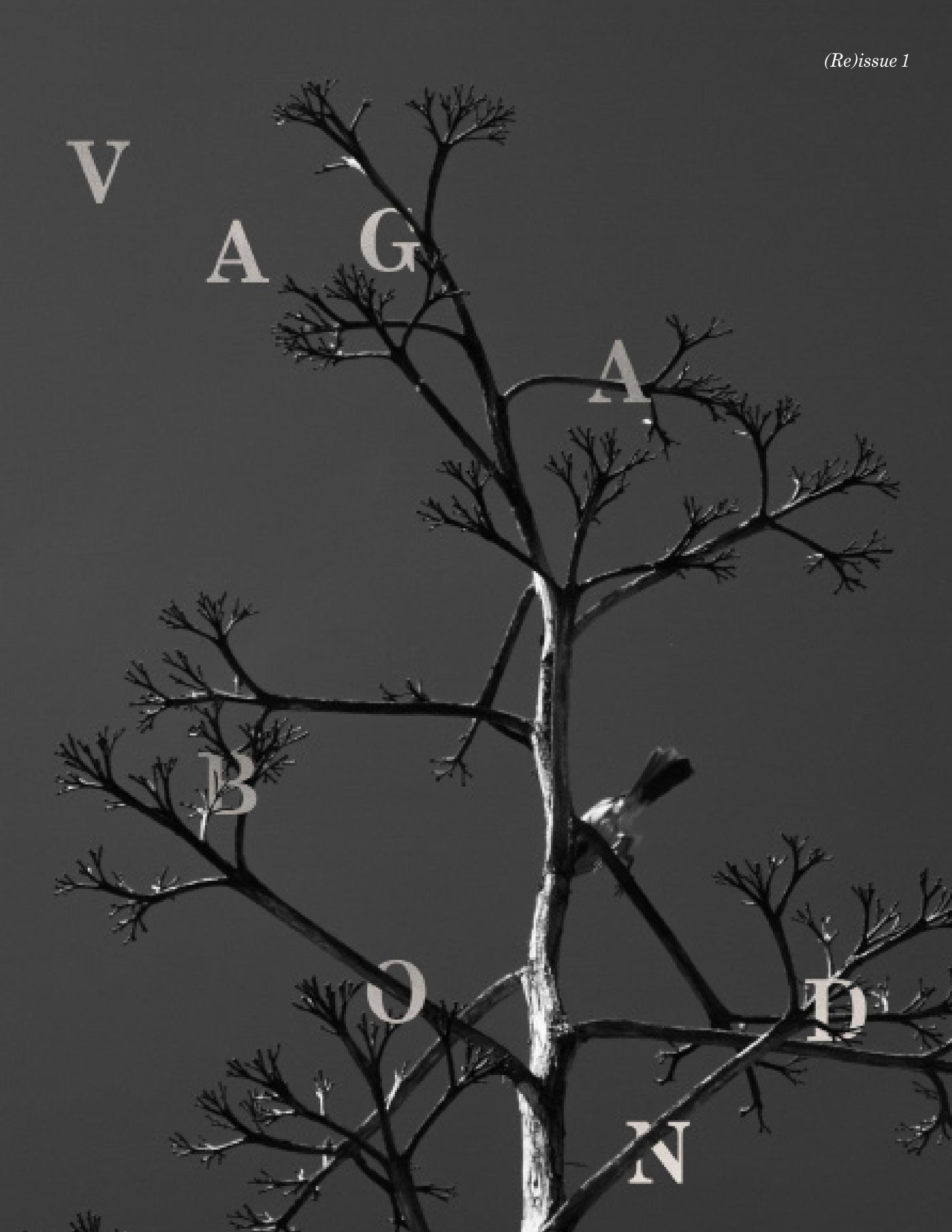 VAGABOND (Re)Issue 1 - 2022 by Vagabond Multilingual Magazine - Issuu
