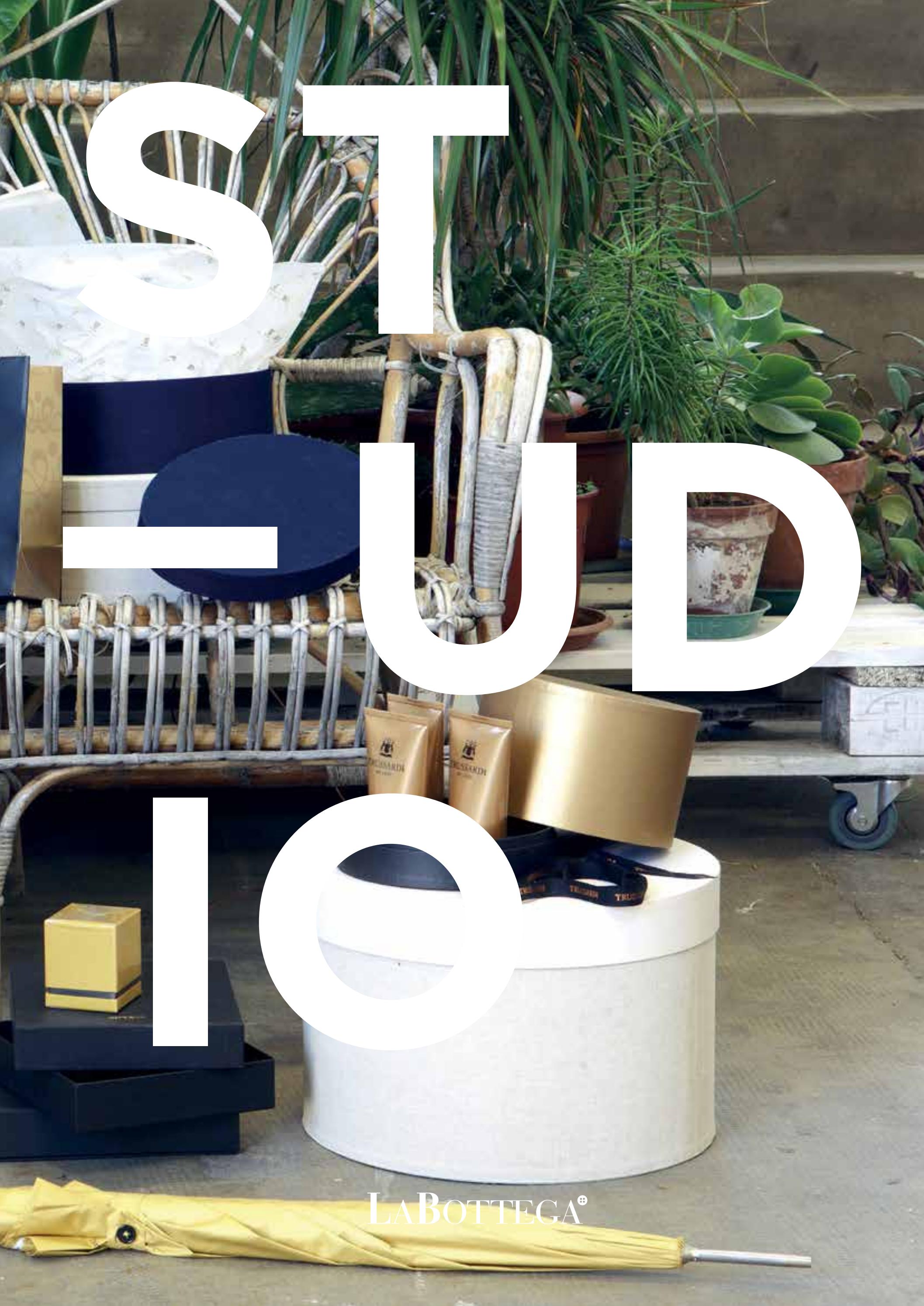 Studio Catalogue by M.S.G. TRADELINK LTD - Issuu