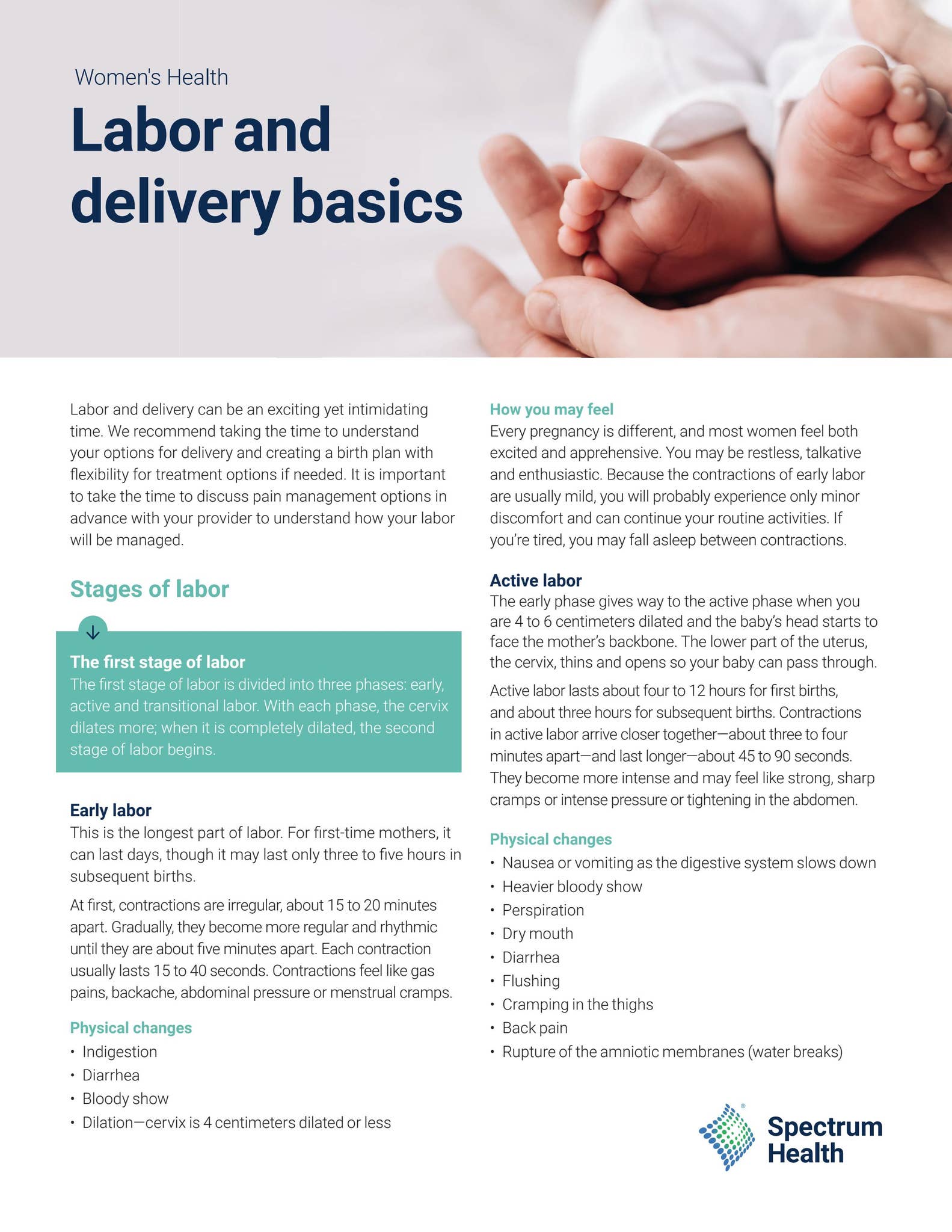 Labor and Delivery Basics by Corewell Health - Issuu