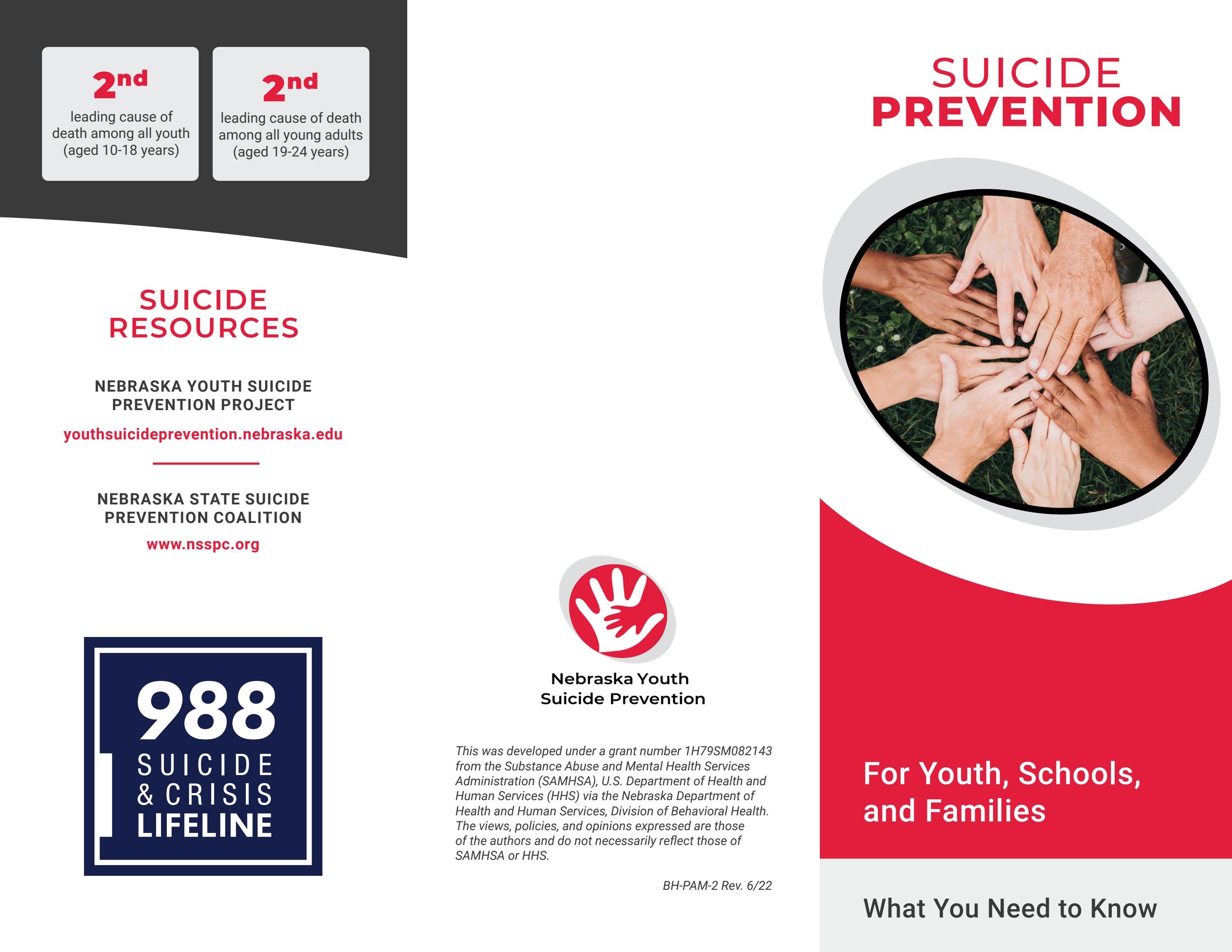 Suicide Prevention for Youth, Schools, and Families Brochure by nu_ppc ...