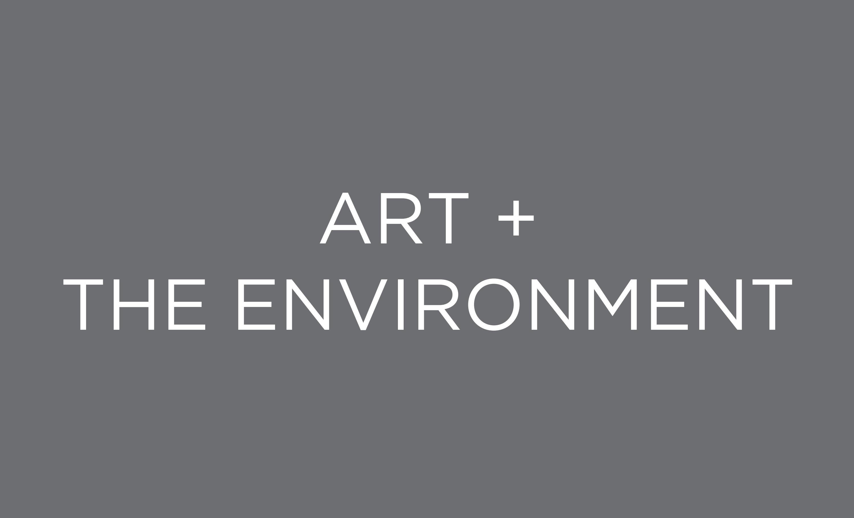 ART+THE ENVIRONMENT by Rollins College - Issuu