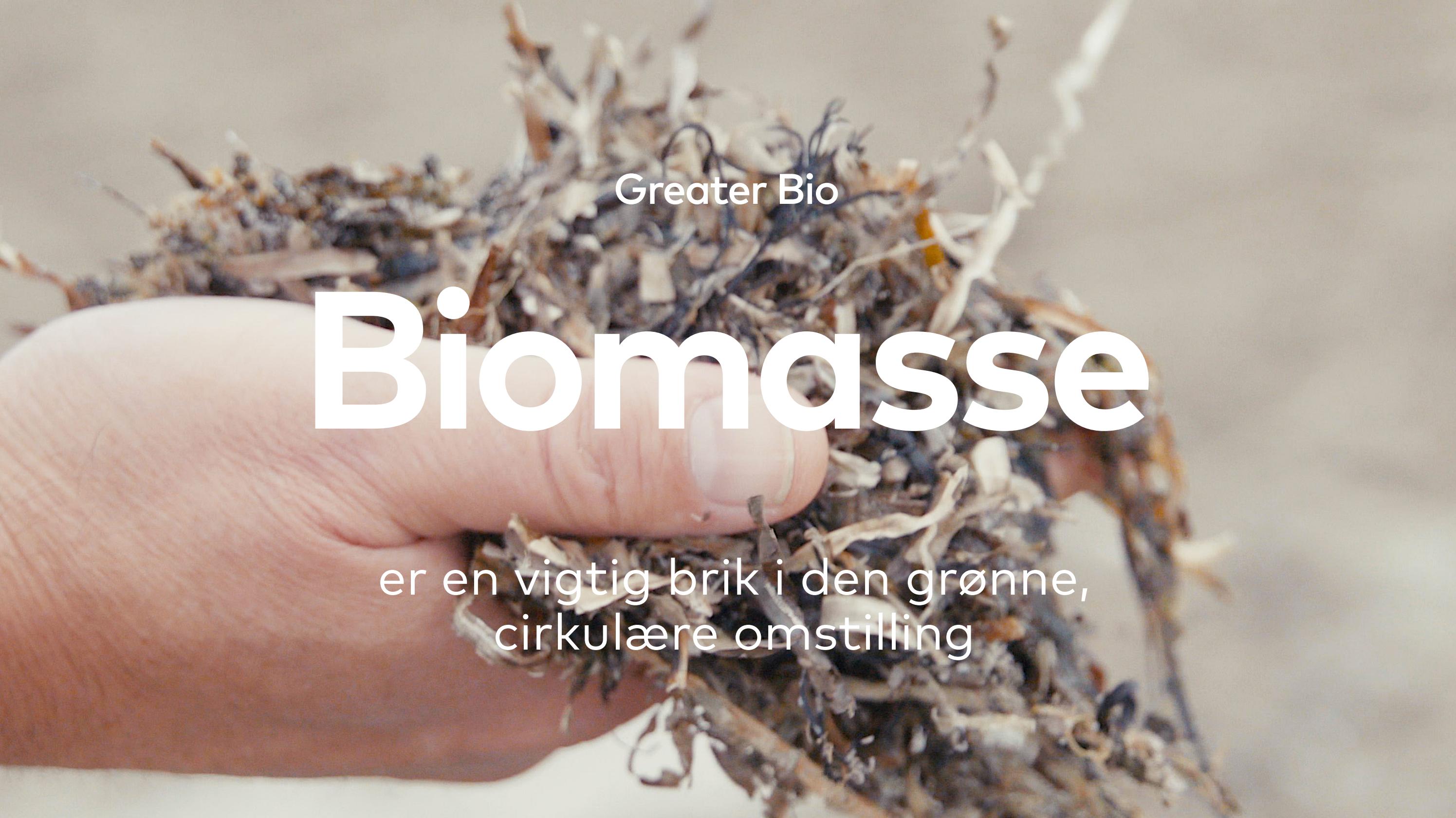 Biomasse - en vigtig brik i den grønne, cirkulære omstilling by Gate 21 ...