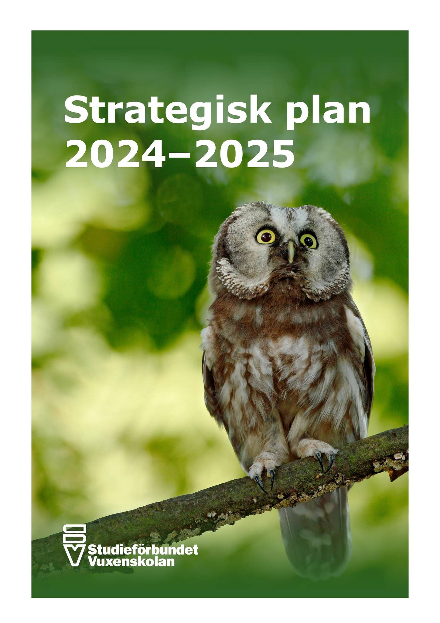 SV Strategisk plan 2024-2025 by Studieförbundet Vuxenskolan - Issuu