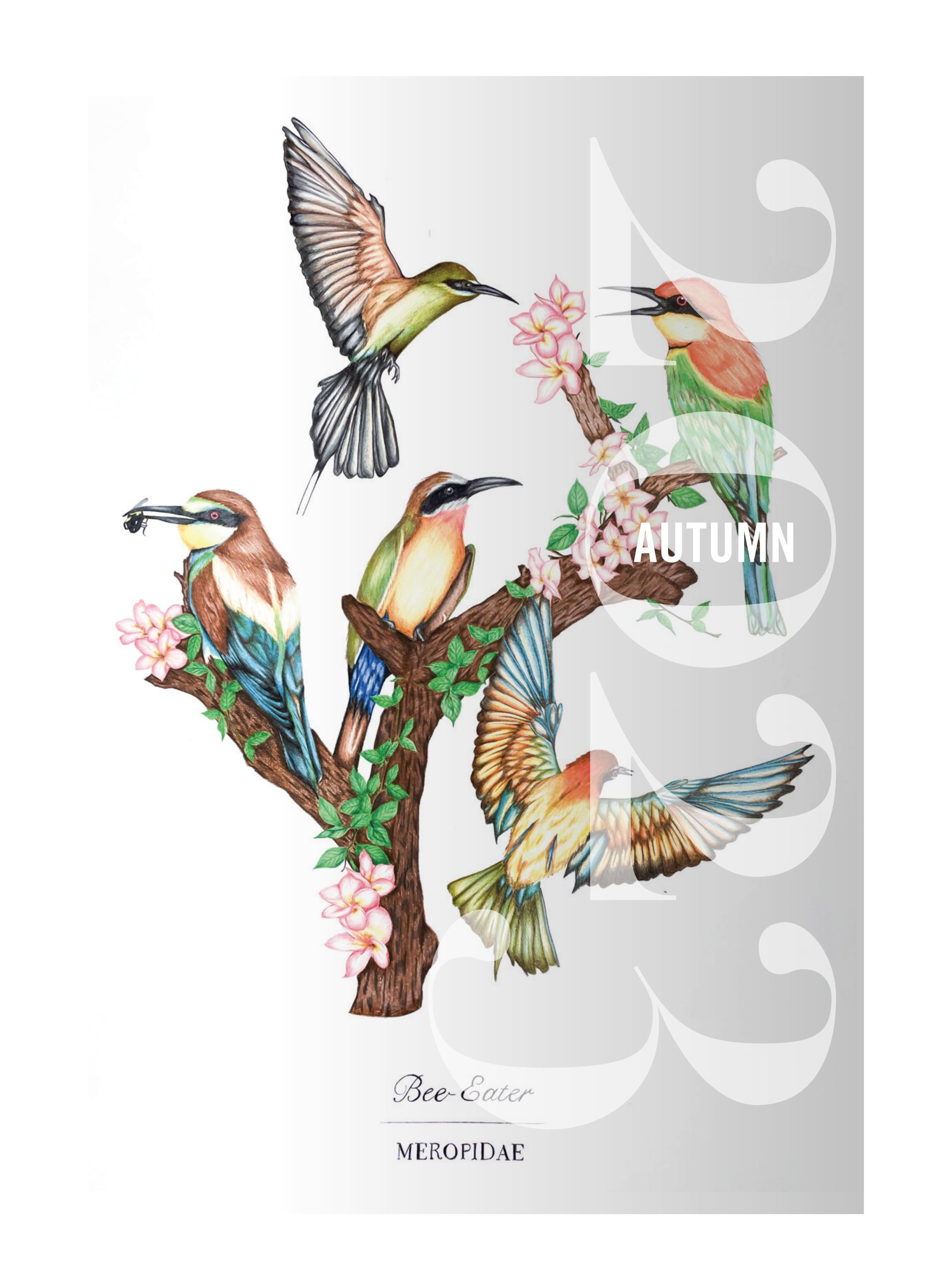 Bede's Senior School Autumn Calendar 2023 by bedesschoolsussex - Issuu