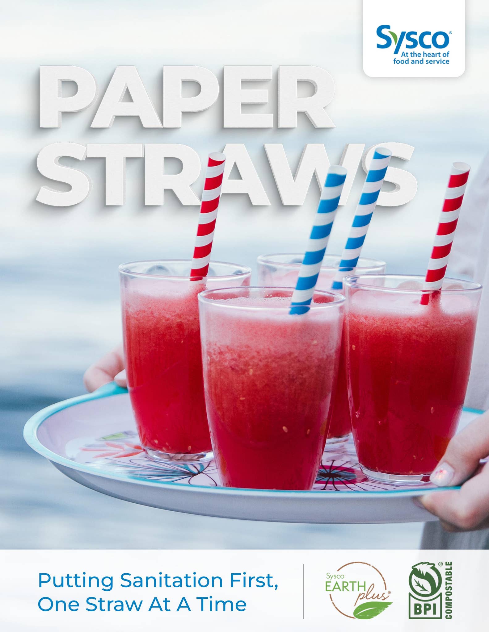 Sysco USA Earth Plus Paper Straw by Gallimore Products Inc. - Issuu