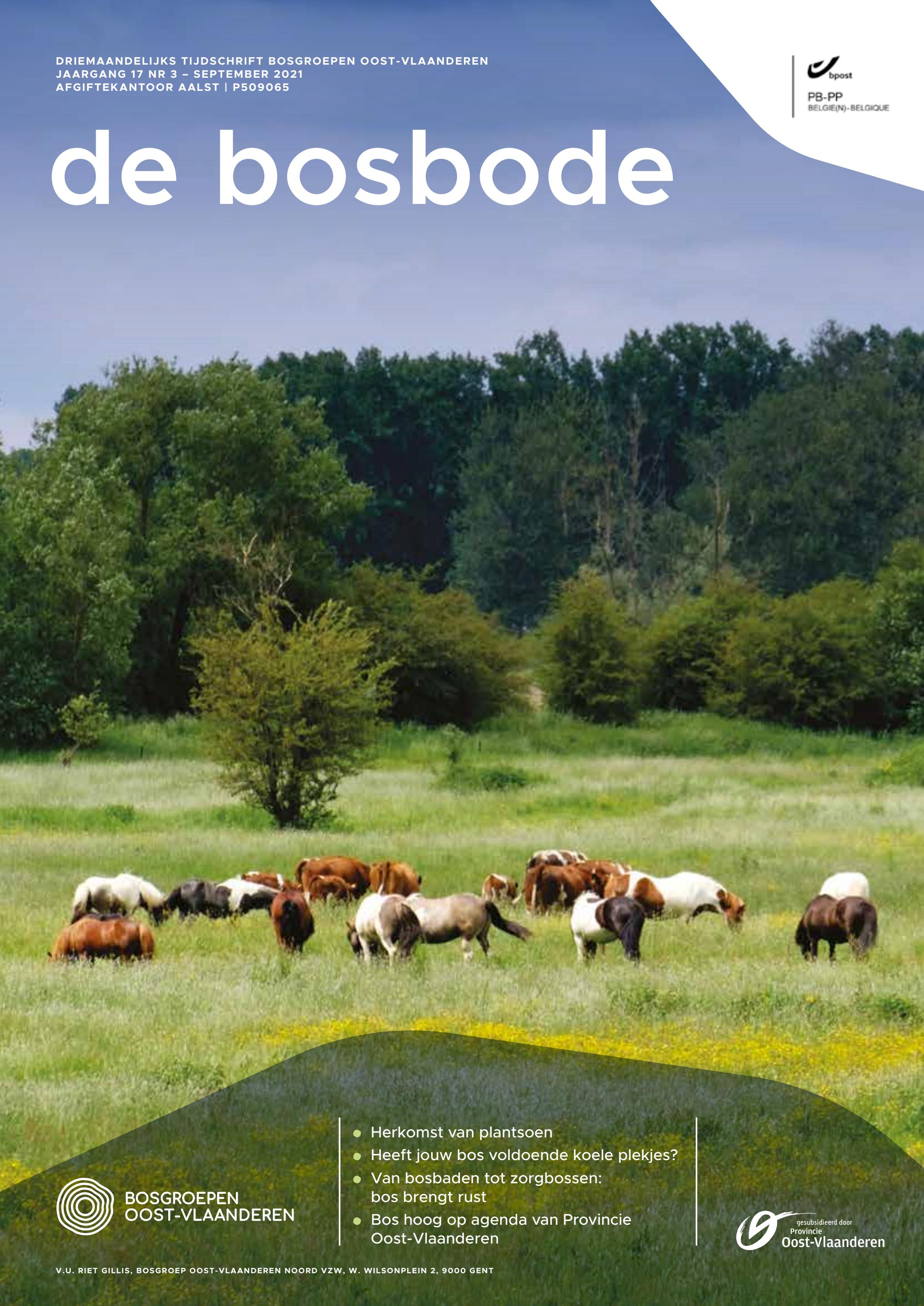 de bosbode 2021 - 3 by De Bosgroepen - Issuu