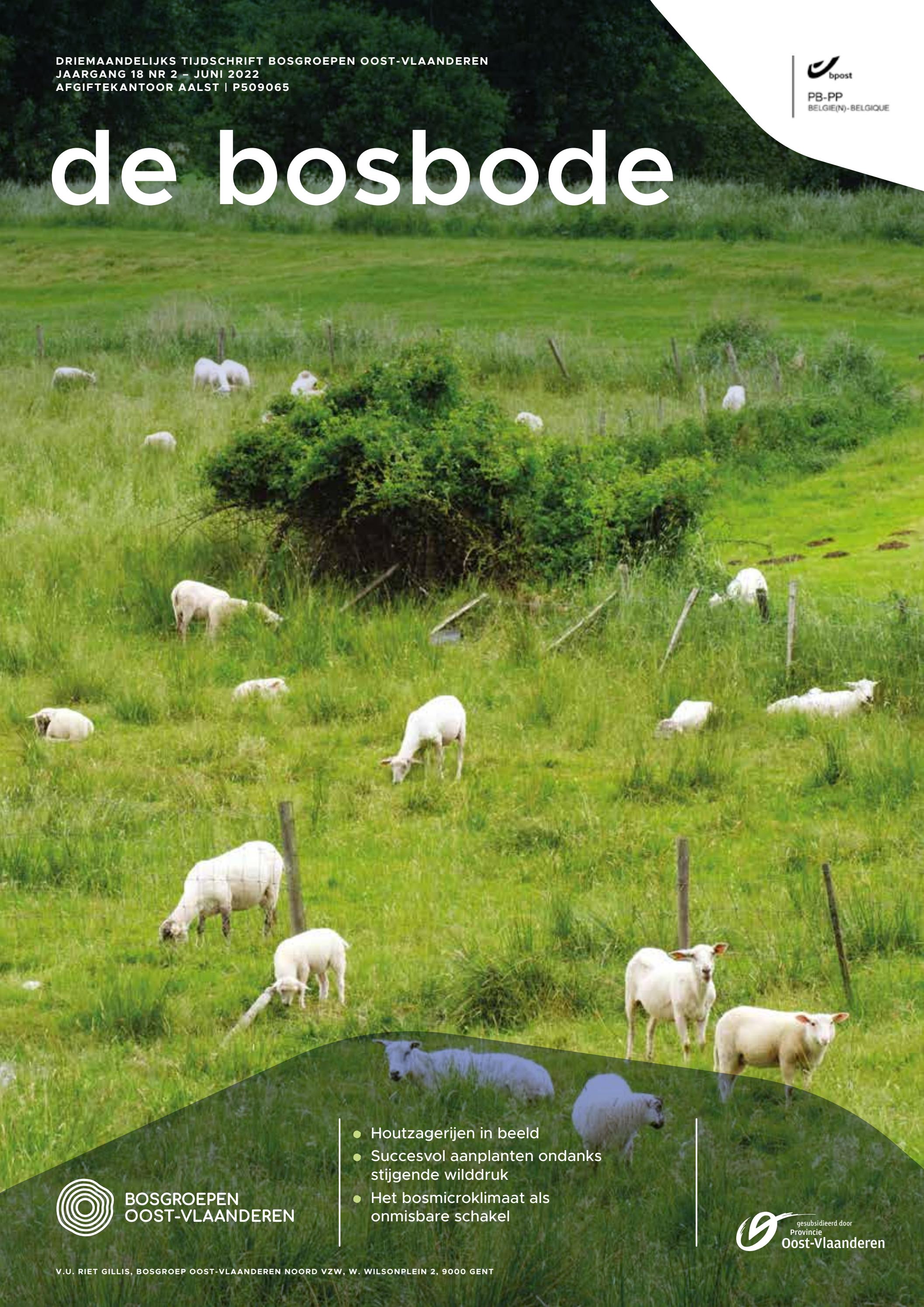 de bosbode 2022 - 2 by De Bosgroepen - Issuu
