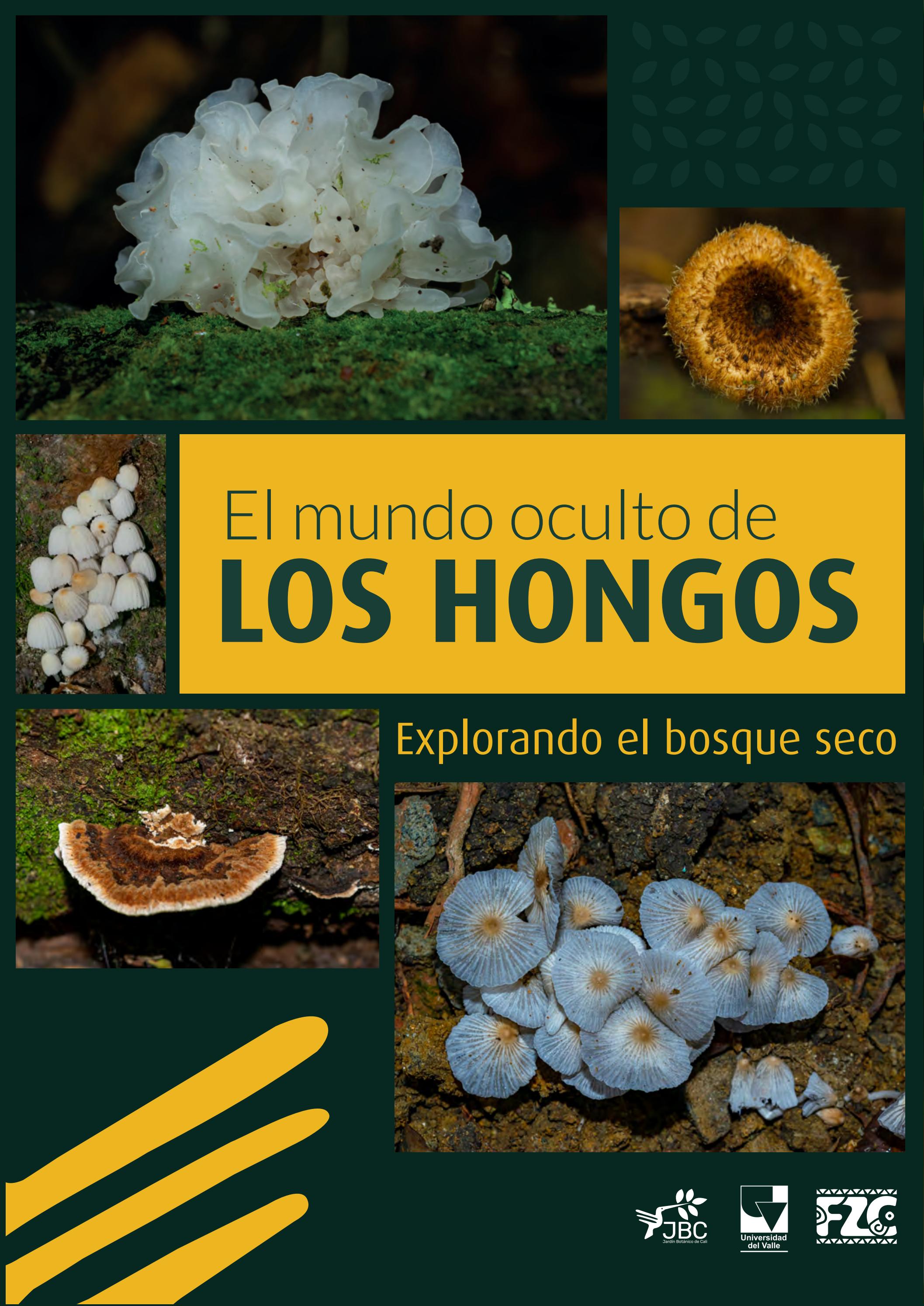 El mundo oculto de los hongos by Somos FZC - Issuu