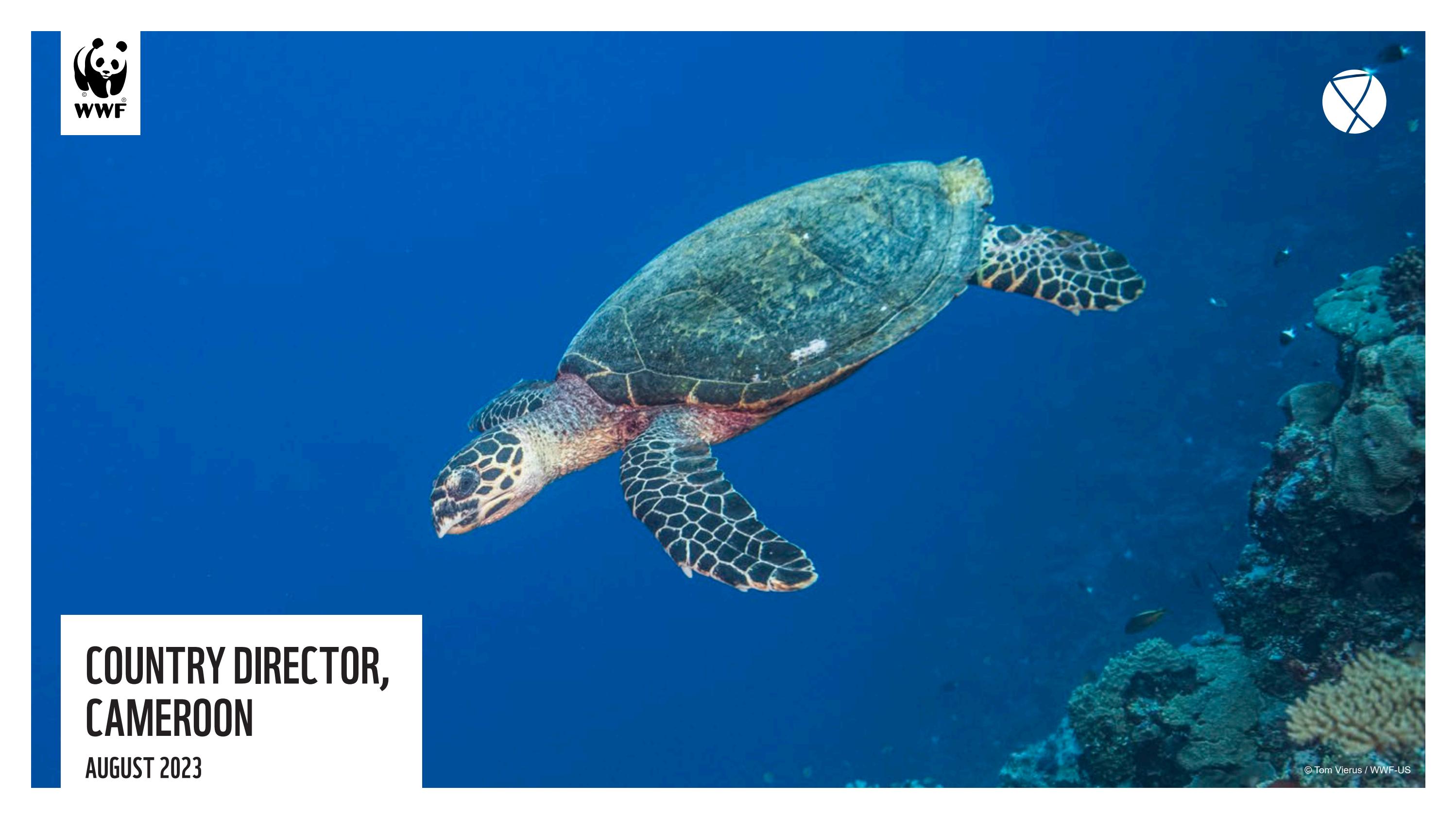 WWF – Country Director, Cameroon by Oxford HR - Issuu