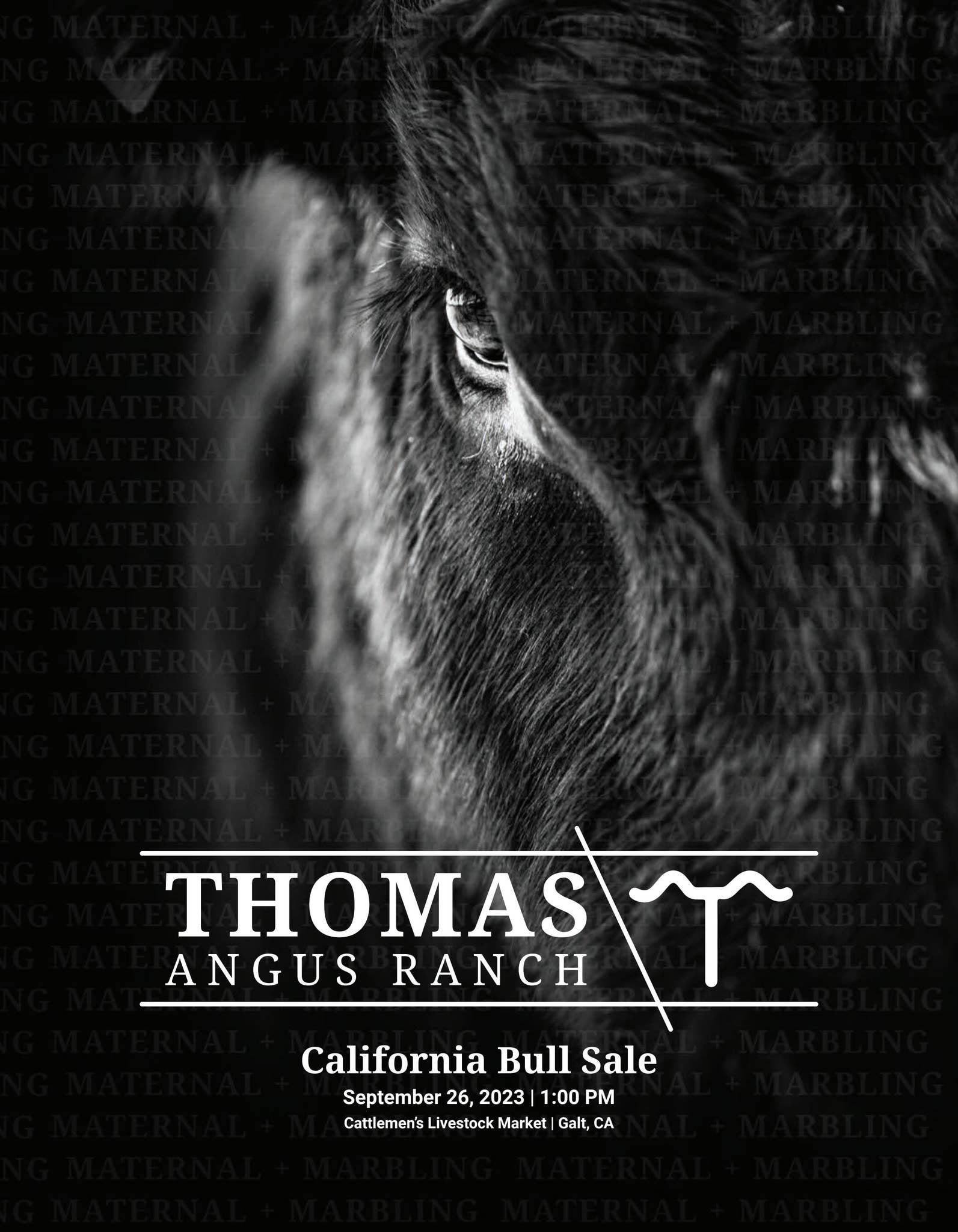 Thomas Angus - 2023 California Bull Sale by LivestockDirect - Issuu