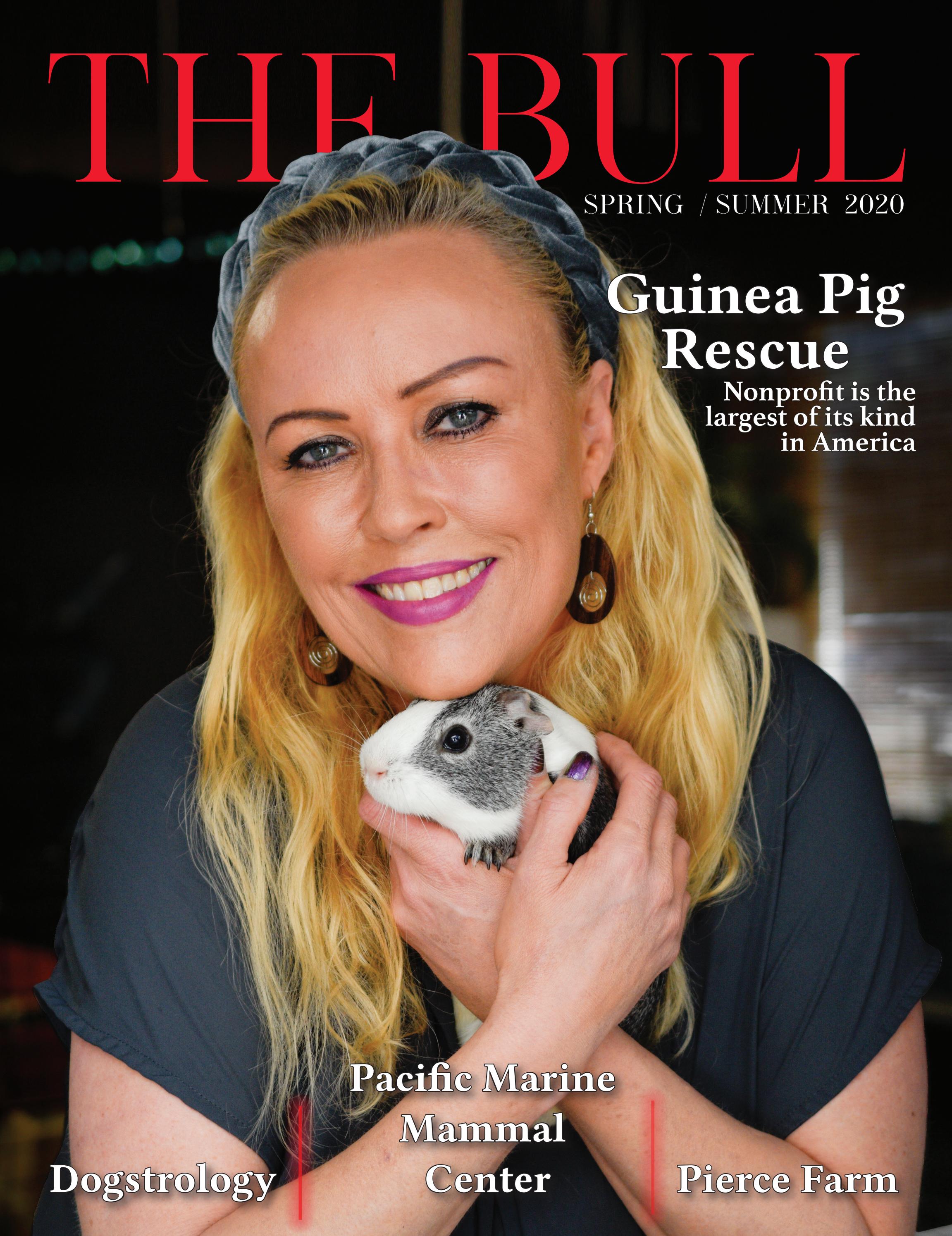 The Bull Magazine Spring/Summer 2020 by Pierce College Publications - Issuu