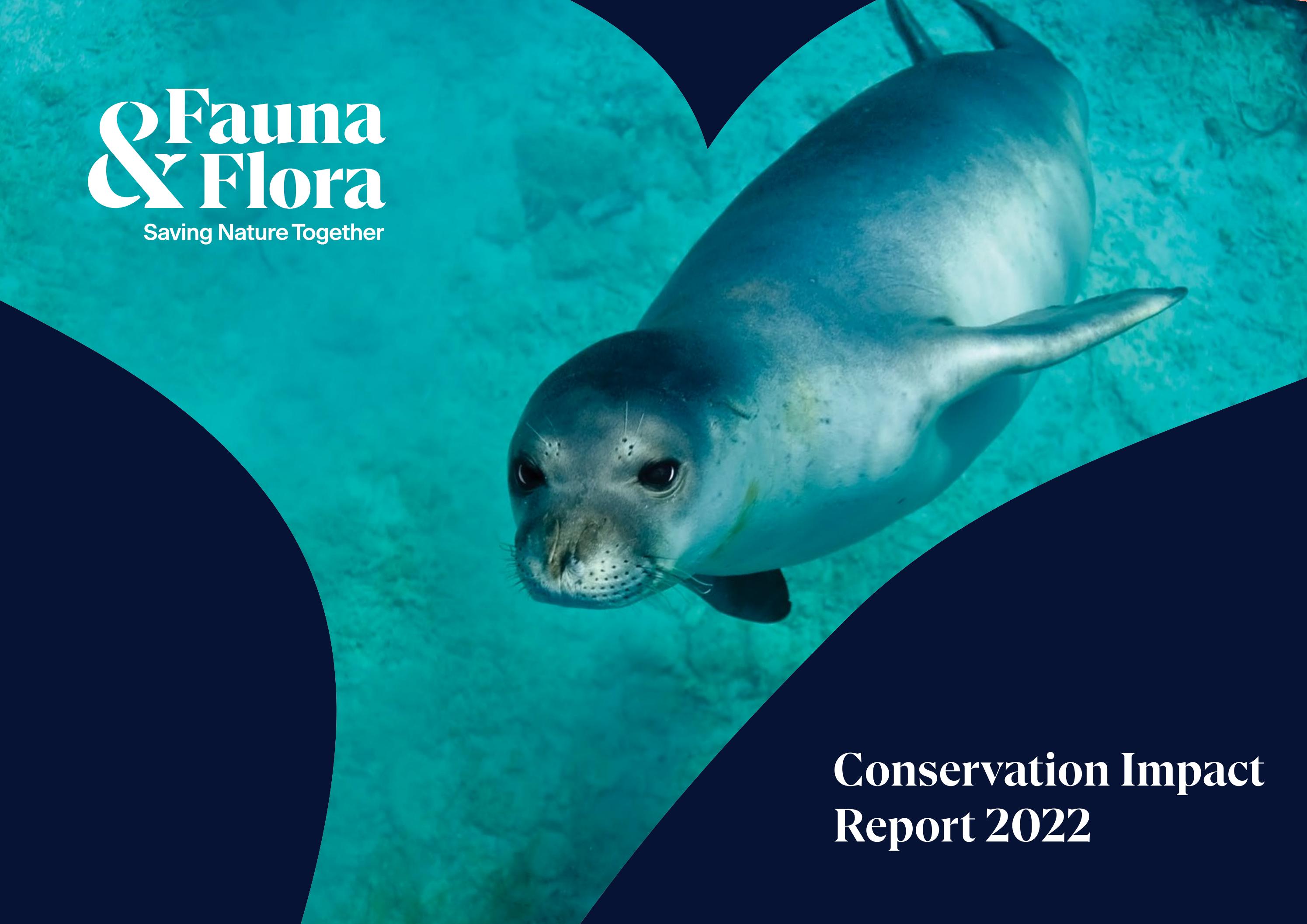 Fauna & Flora Conservation Impact Report 2022 by Fauna & Flora - Issuu