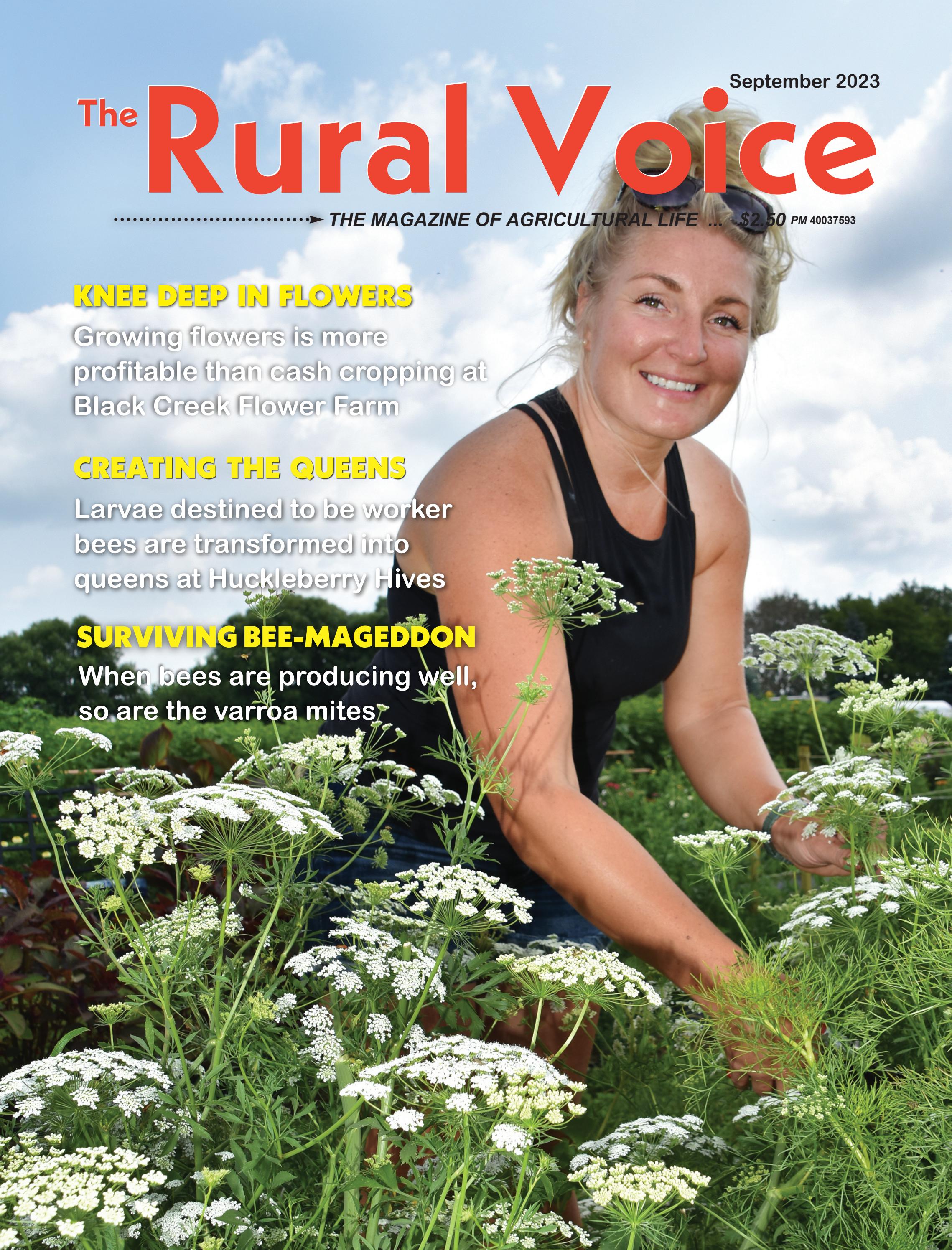 The Rural Voice - September 2023 by North Huron Publishing Company Ltd ...