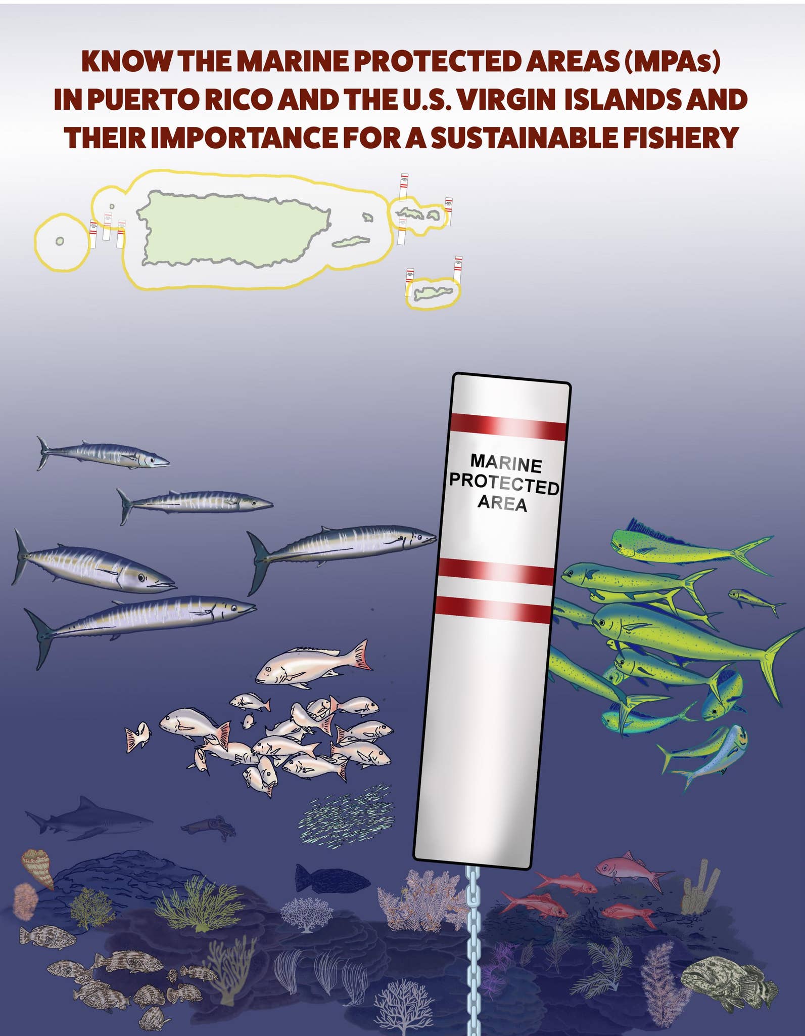 Marine Protected Areas and Their Importance for a Sustainable Fishery ...