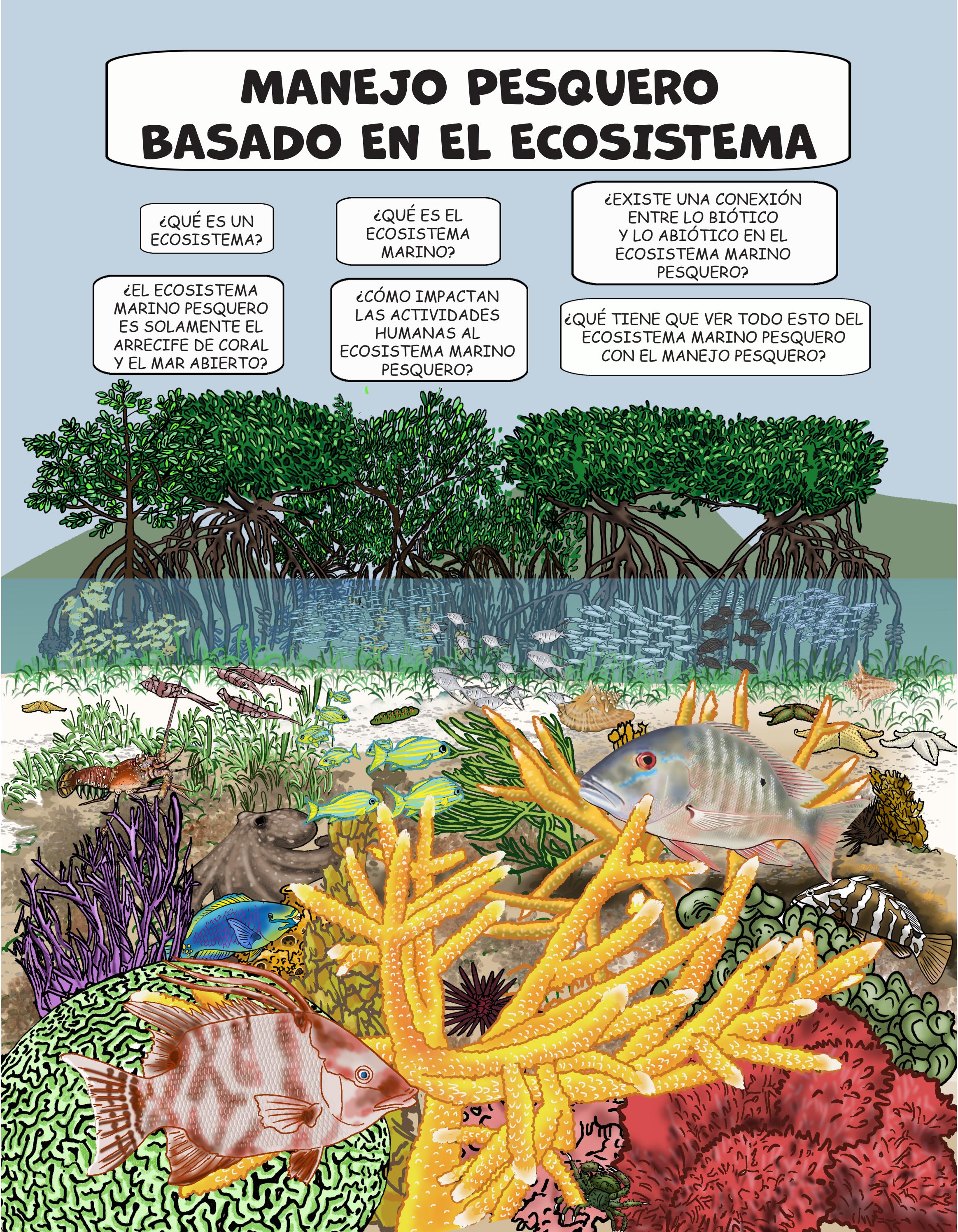 Manejo Pesquero Basado en el Ecosistema by Caribbean Fishery Management ...