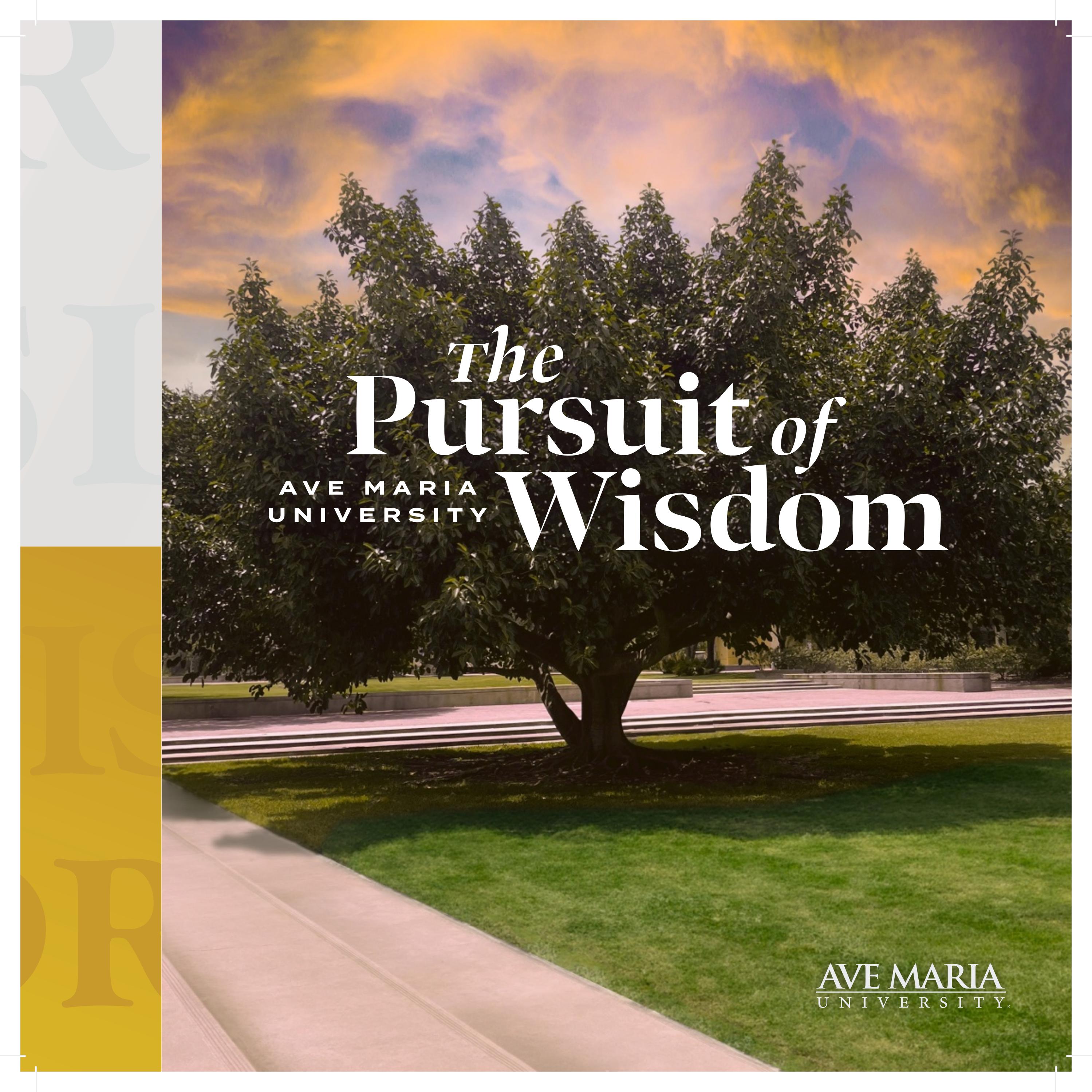The Pursuit of Wisdom Brochure by Ave Maria University - Issuu
