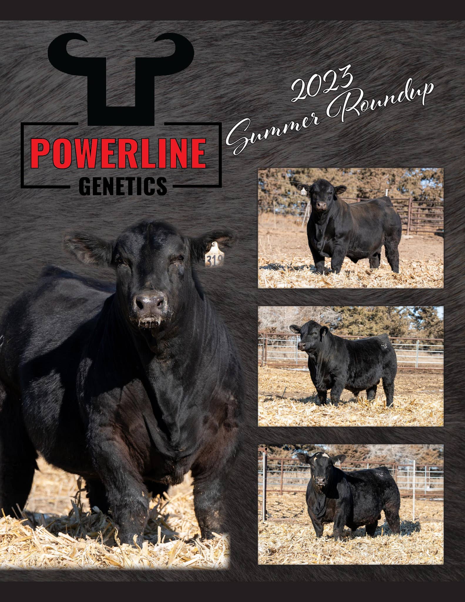 2023 Powerline Genetics Summer Newsletter by Bobbi Hartwig - Issuu