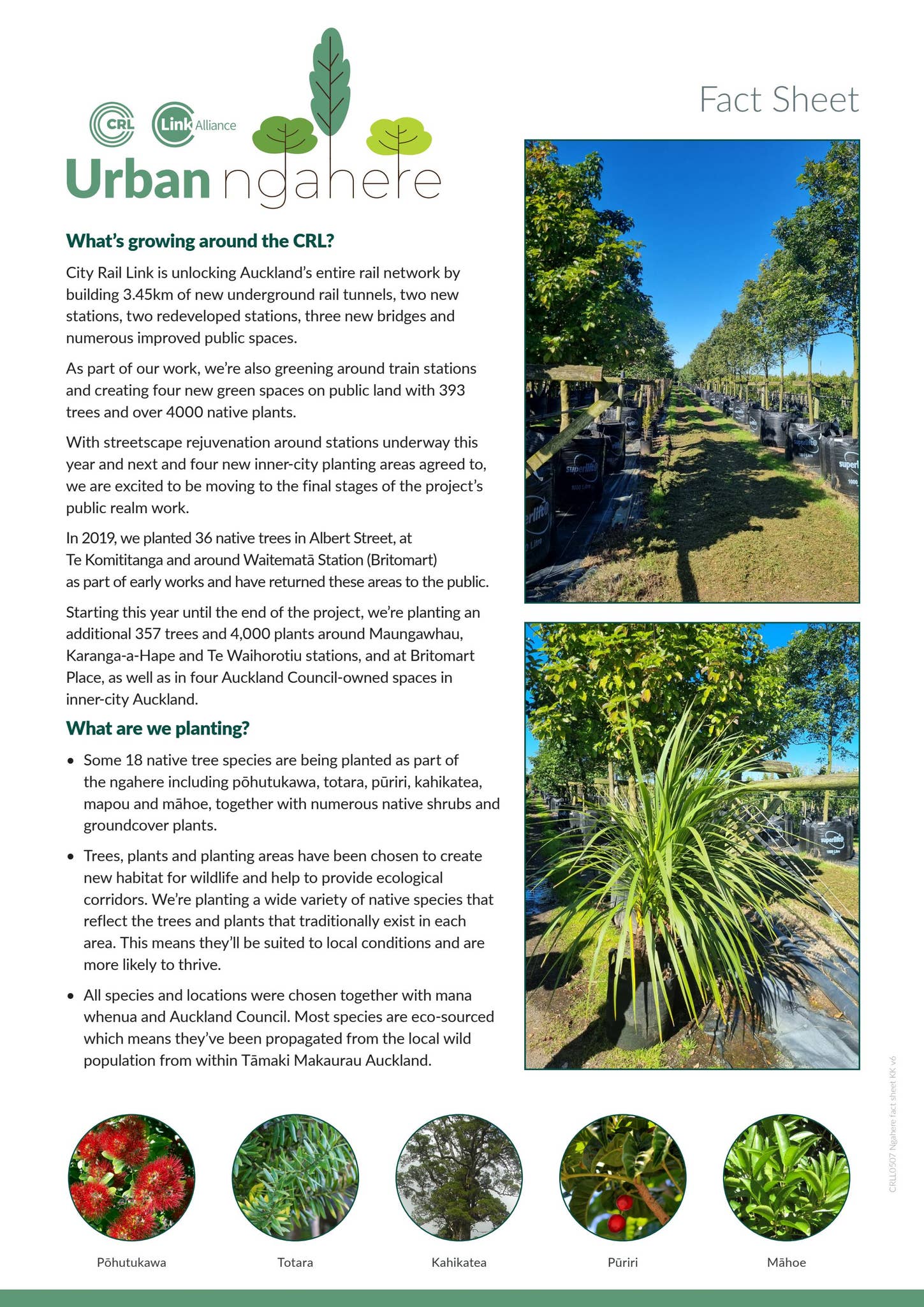 Urban ngahere by City Rail Link Ltd - Issuu