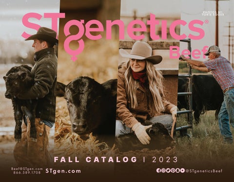 STgenetics® Beef Fall 2023 Catalog by STgeneticsBeef - Issuu