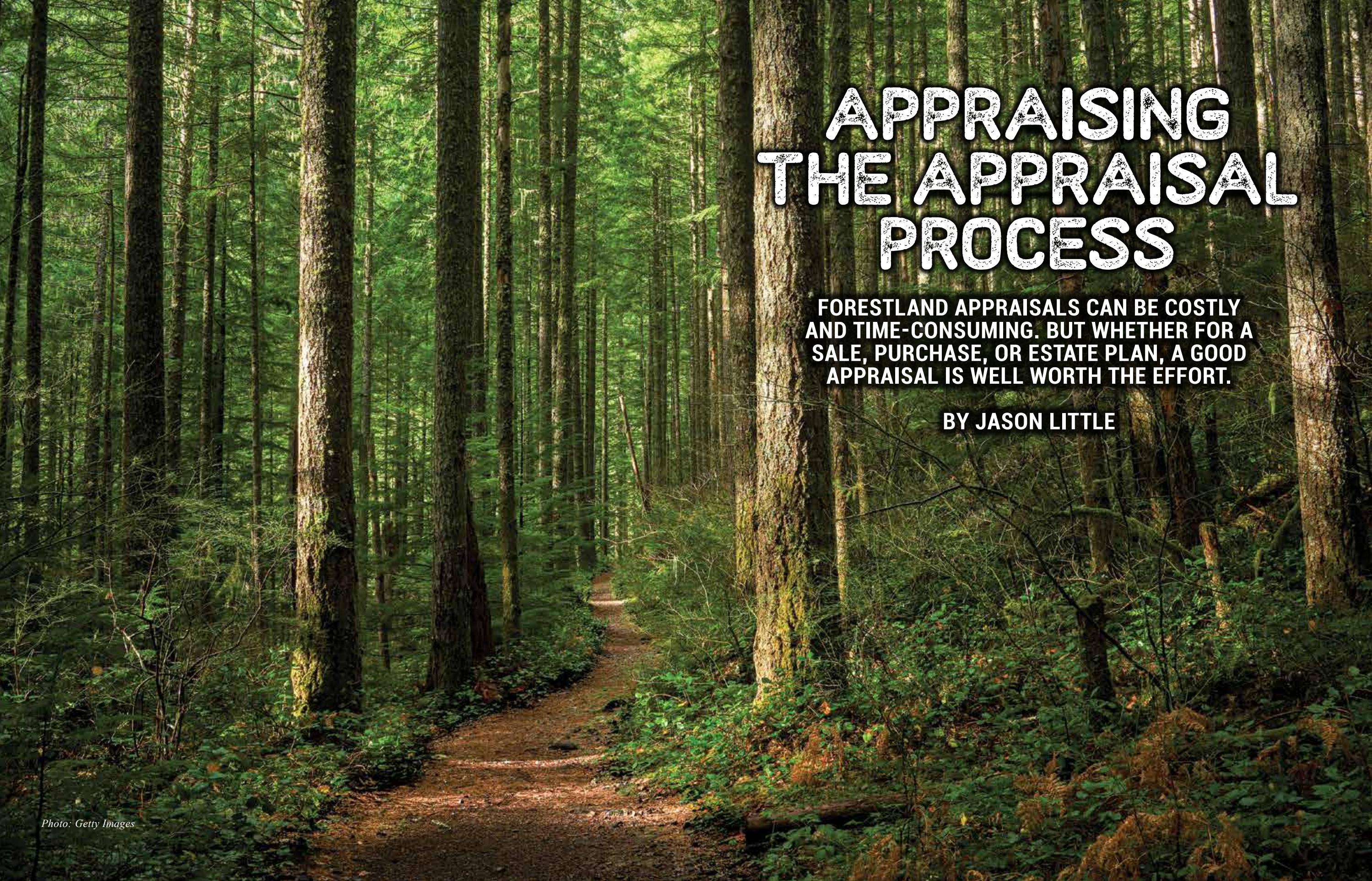 Appraising the Appraisal Process by Jason Little by Accordus - Issuu