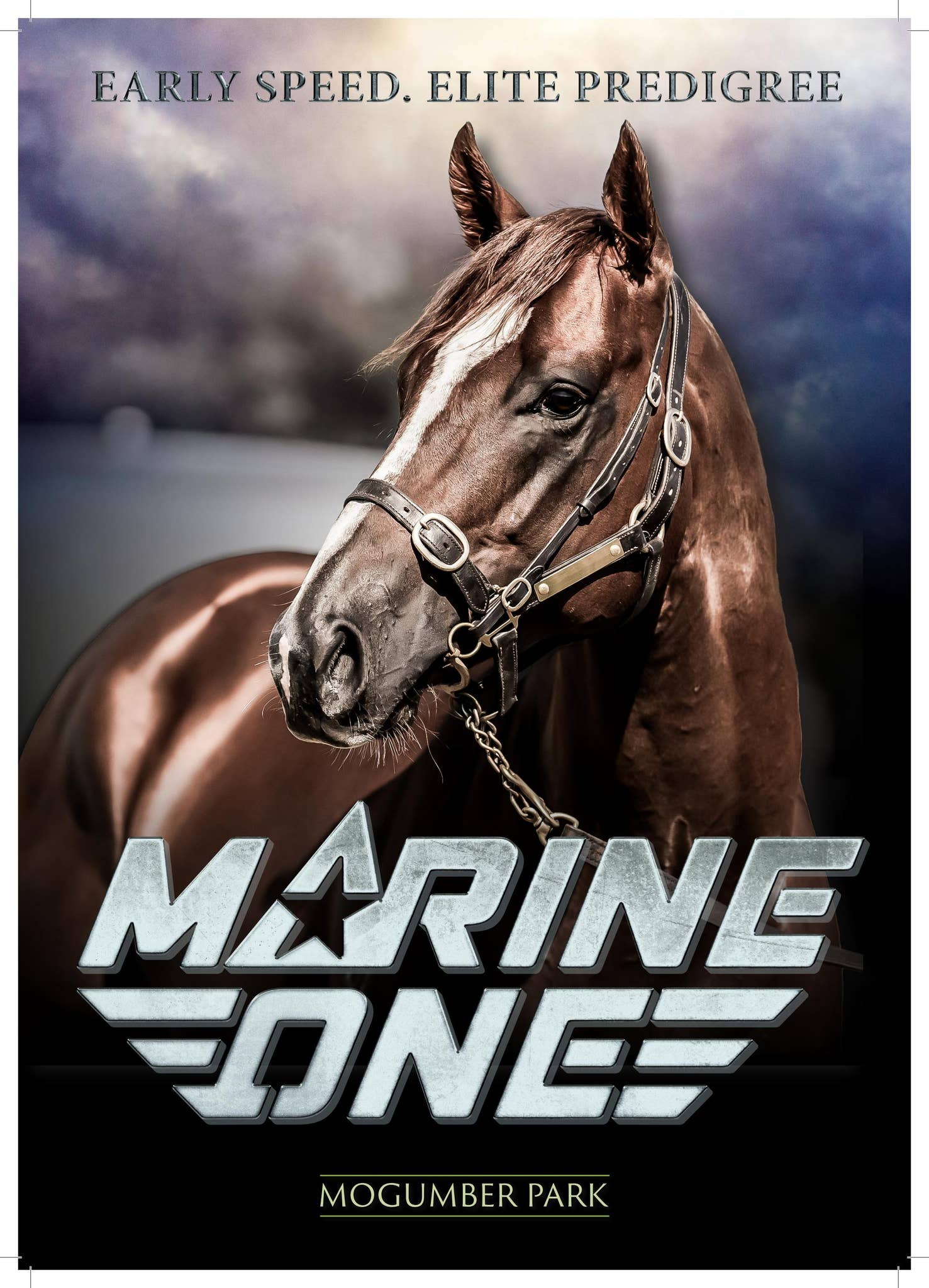 Marine One - Mogumber Park by RACING POST BLOODSTOCK - Issuu