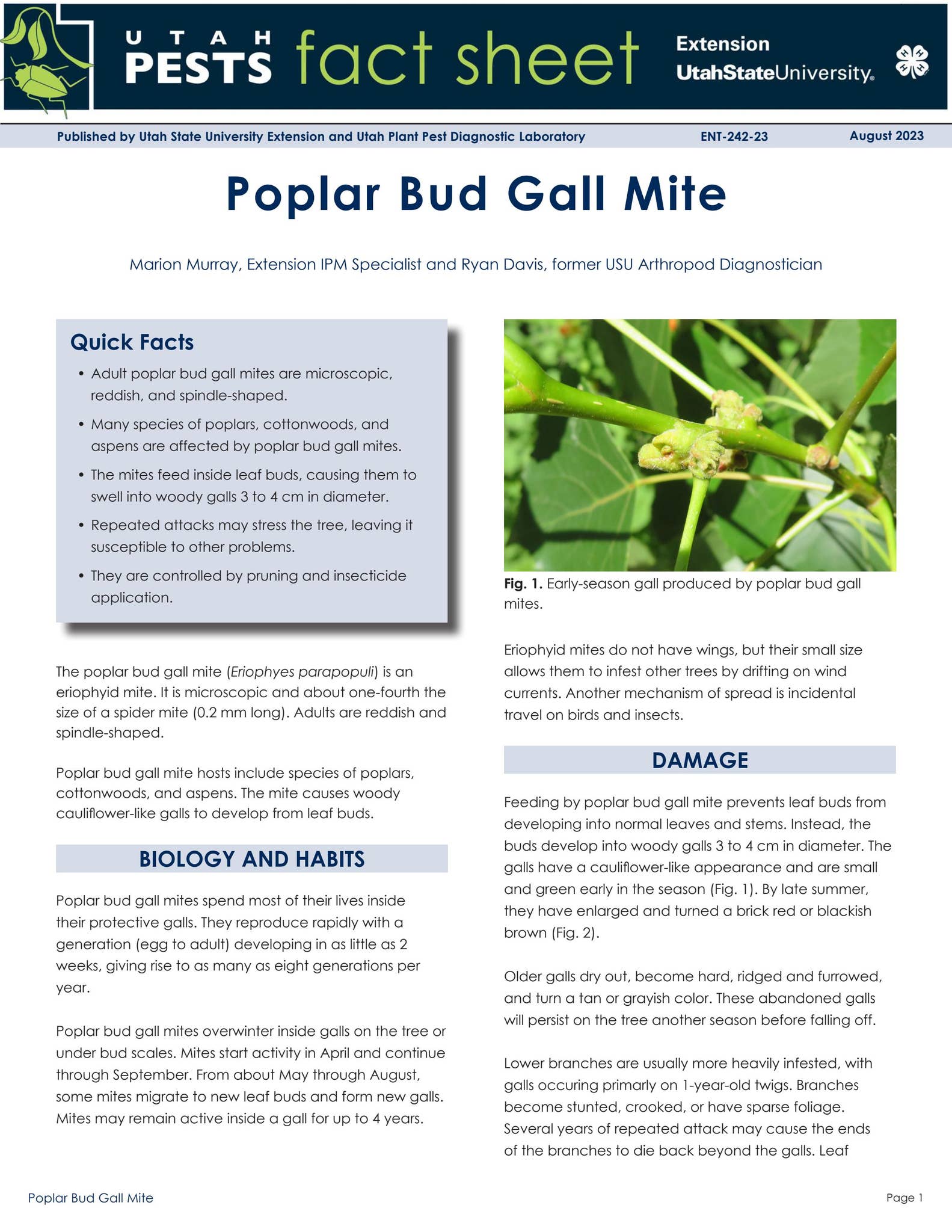 Poplar Bud Gall Mite by Utah State University Extension - Issuu