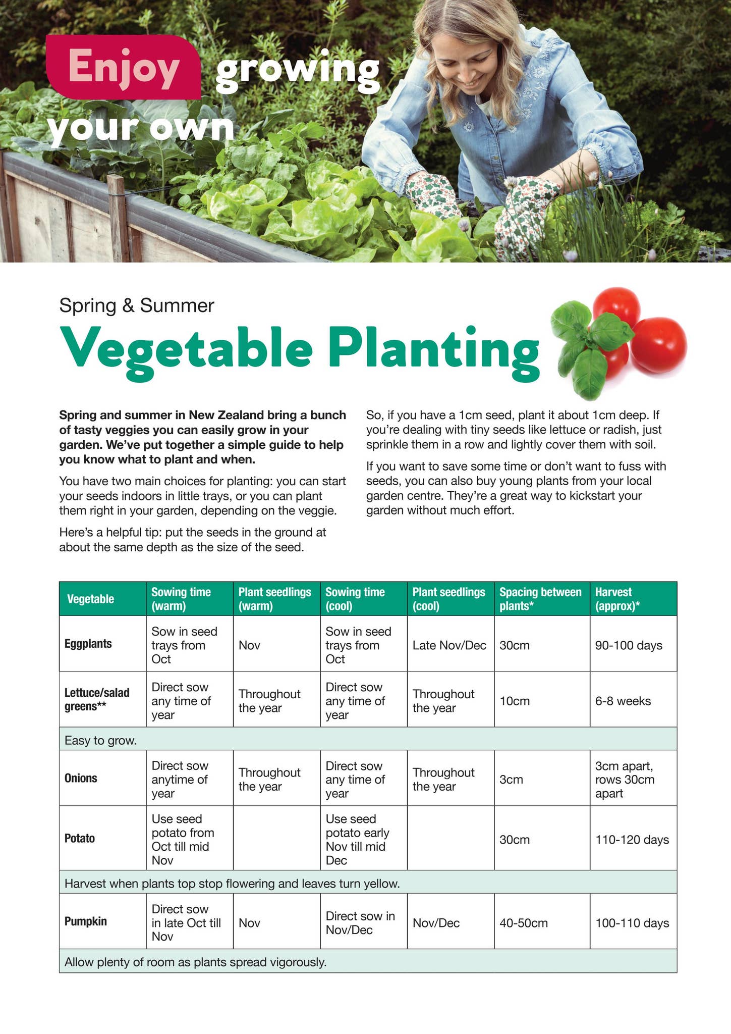 Daltons Spring & Summer Vegetable Planting Guide by Daltons - Issuu