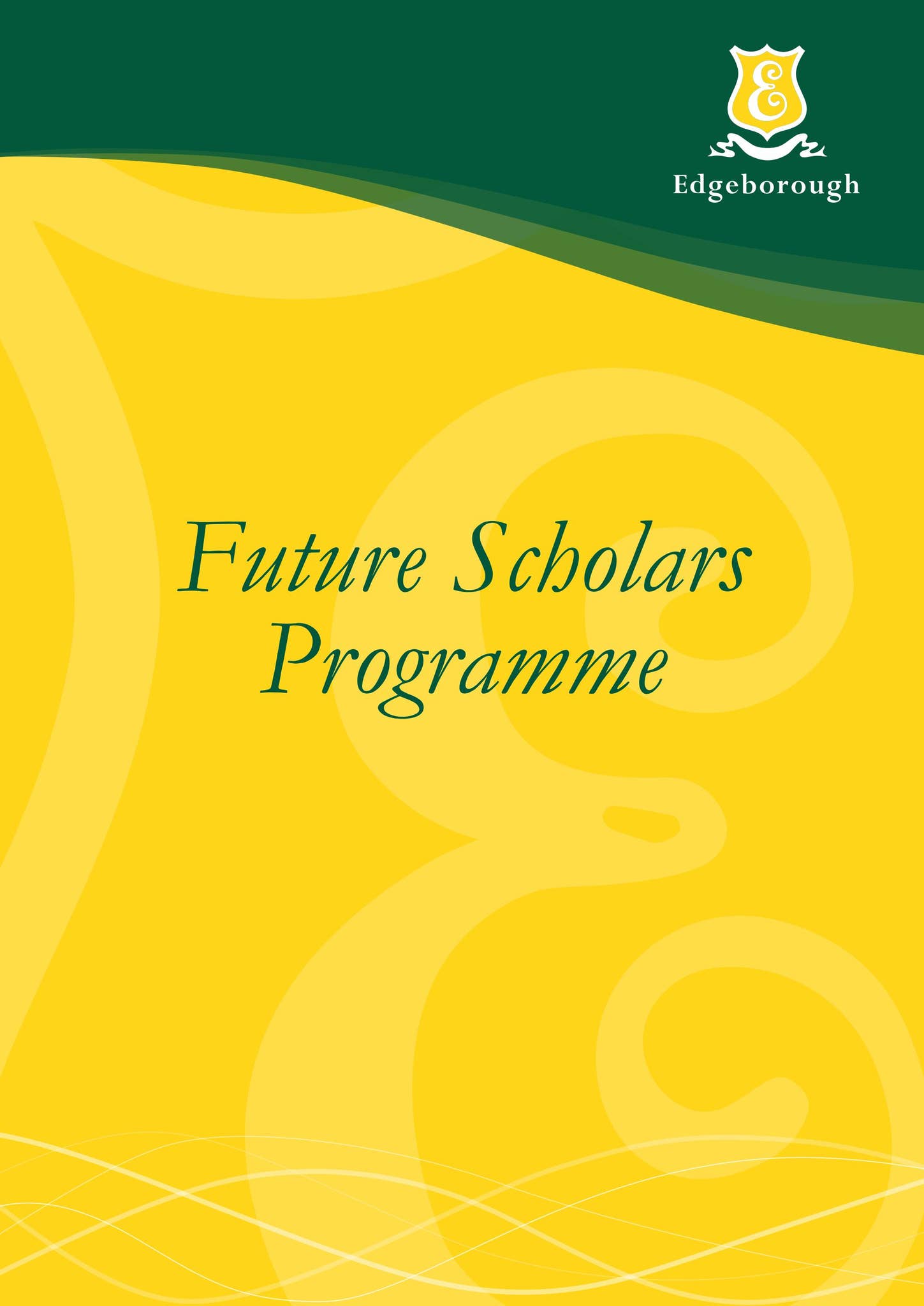 Future Scholars Programme by ssecker-barker - Issuu