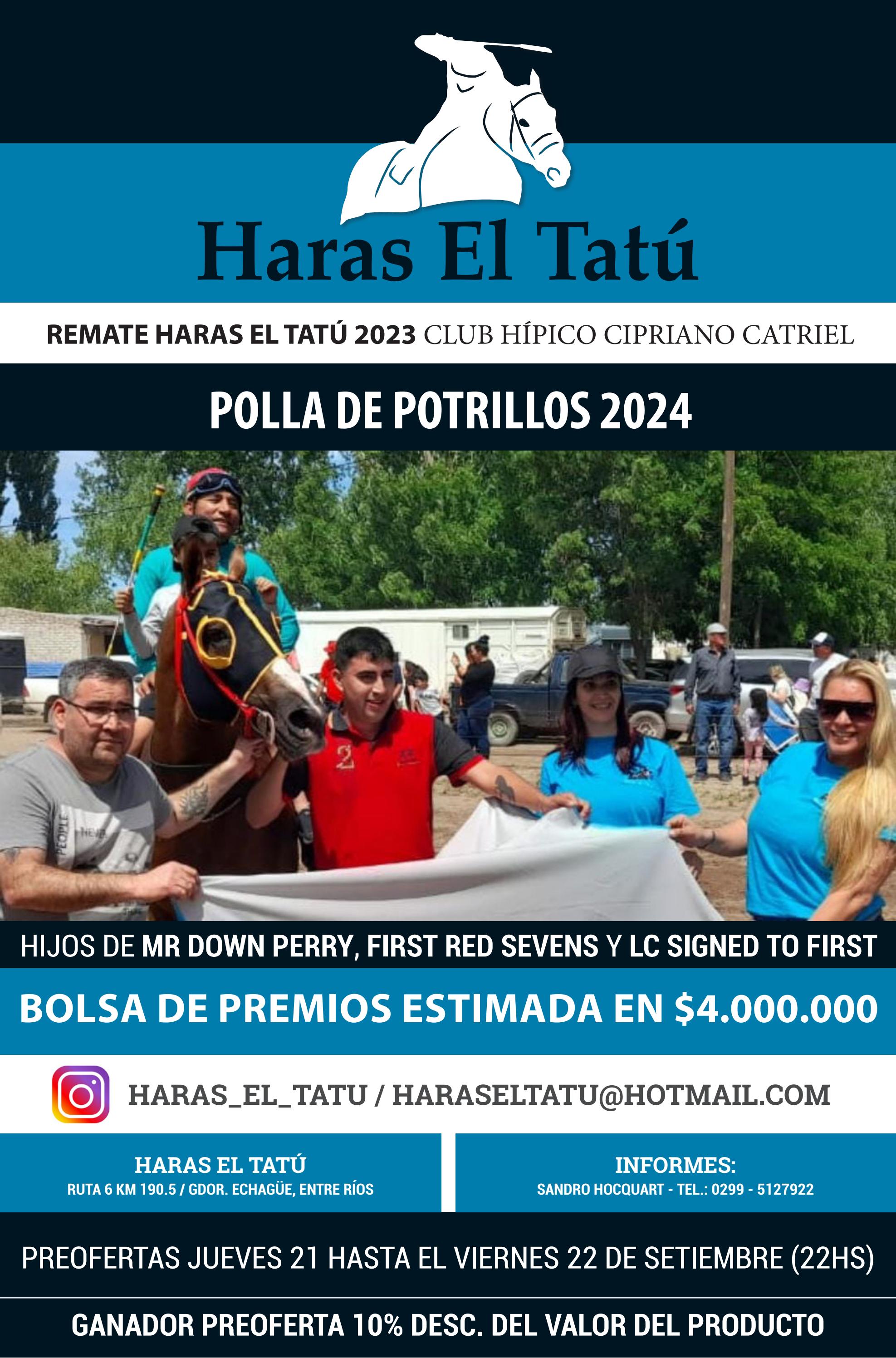 Haras El Tatu - Club Hípico Cipriano Catriel 2023 by Diego Yankelevich ...