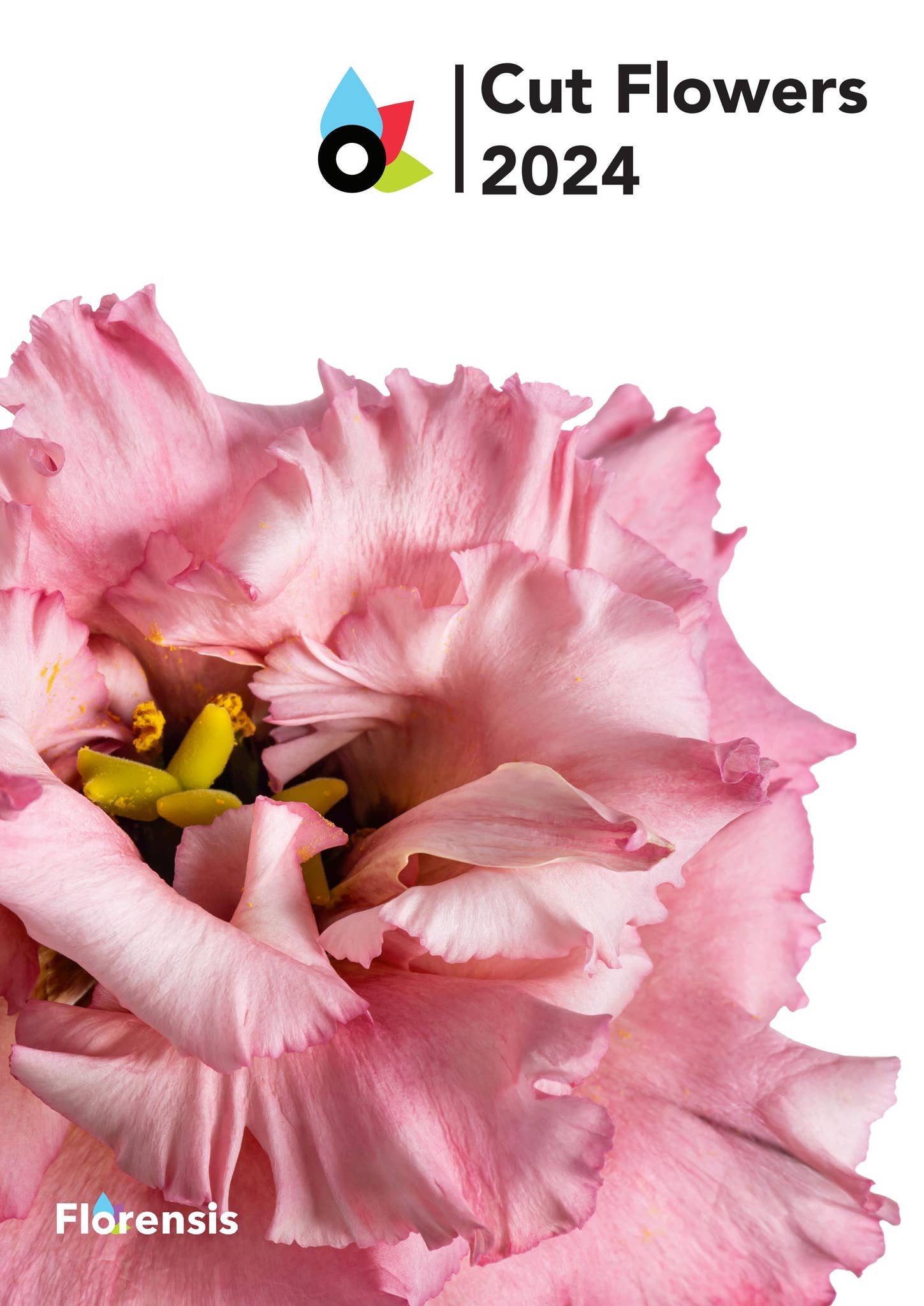 Florensis | Cut Flowers 2024 DUT ENG GER by Florensis - Issuu