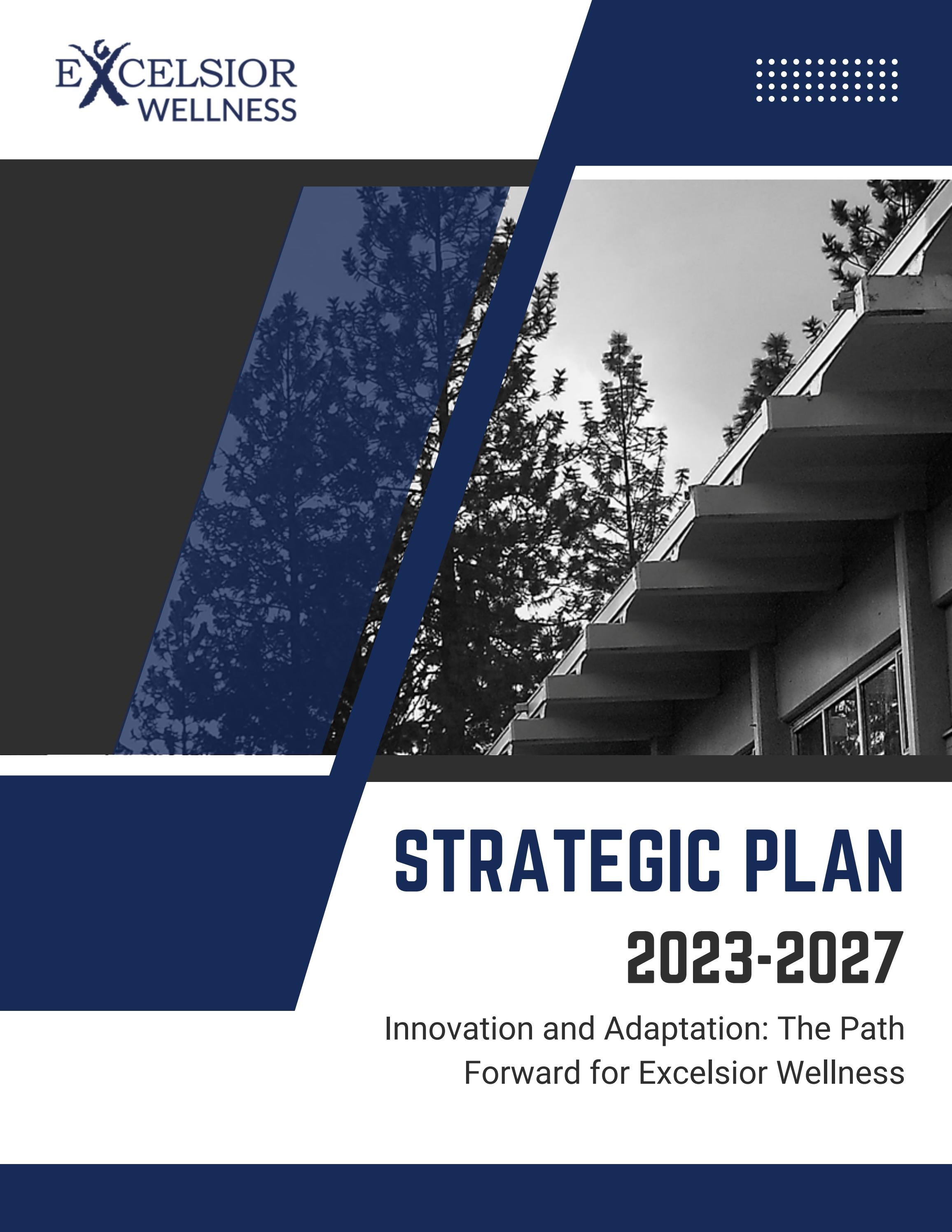 Excelsior Wellness Strategic Plan by ExcelsiorWellness - Issuu