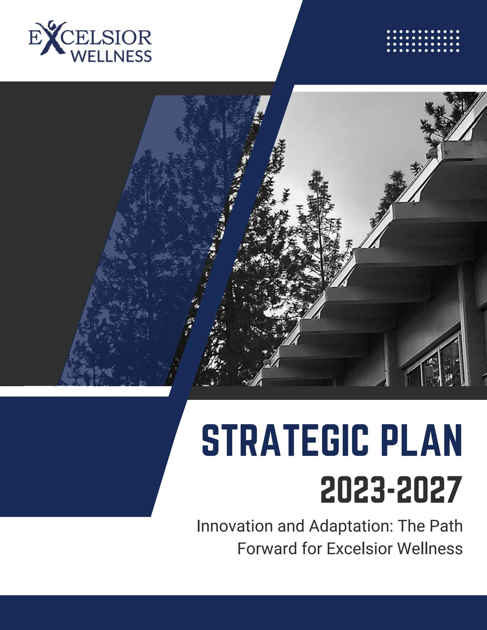 Excelsior Wellness Strategic Plan by Excelsior Wellness - Issuu