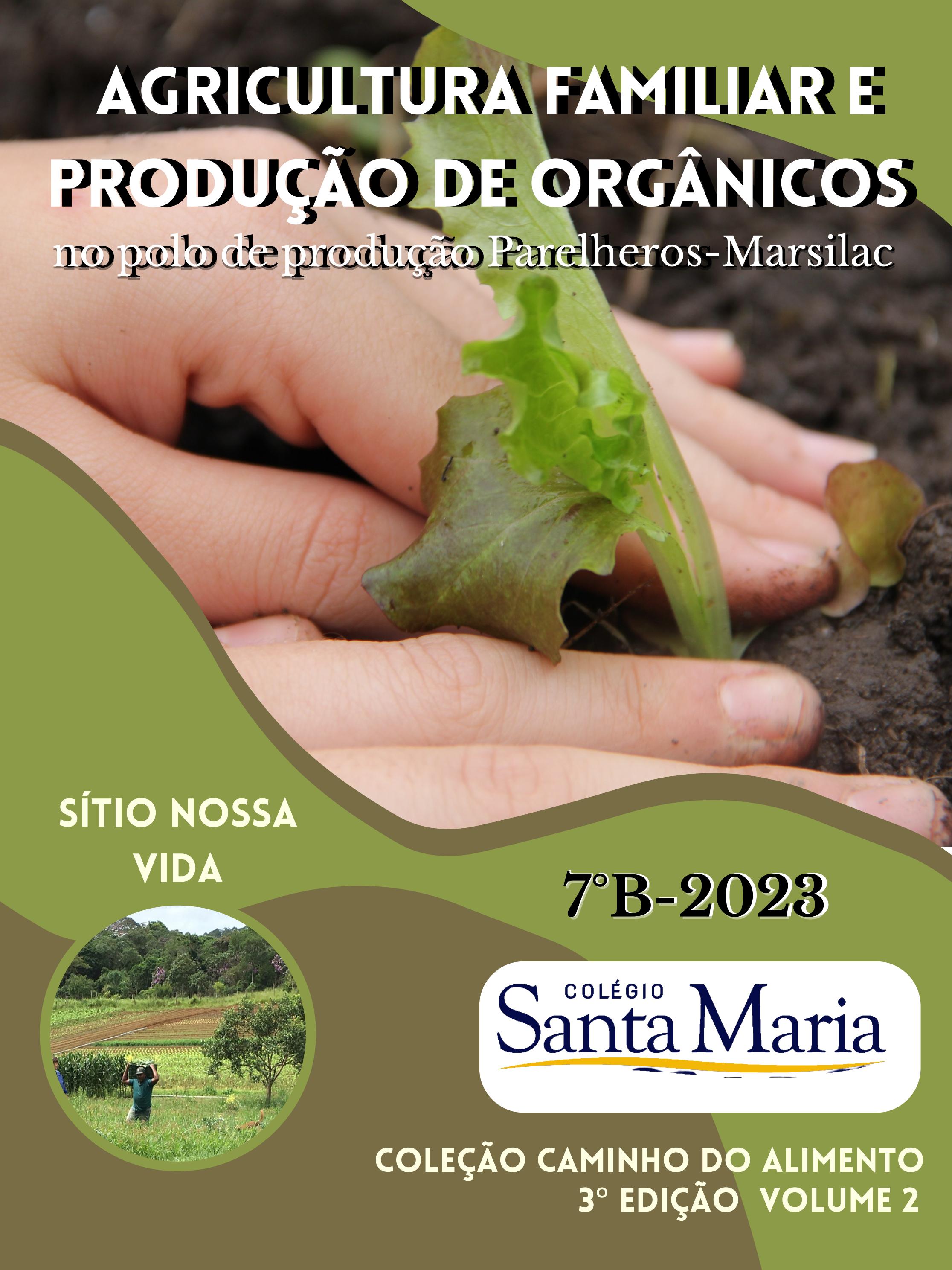 Ebook - 7º B by Patricia Marchi - Issuu