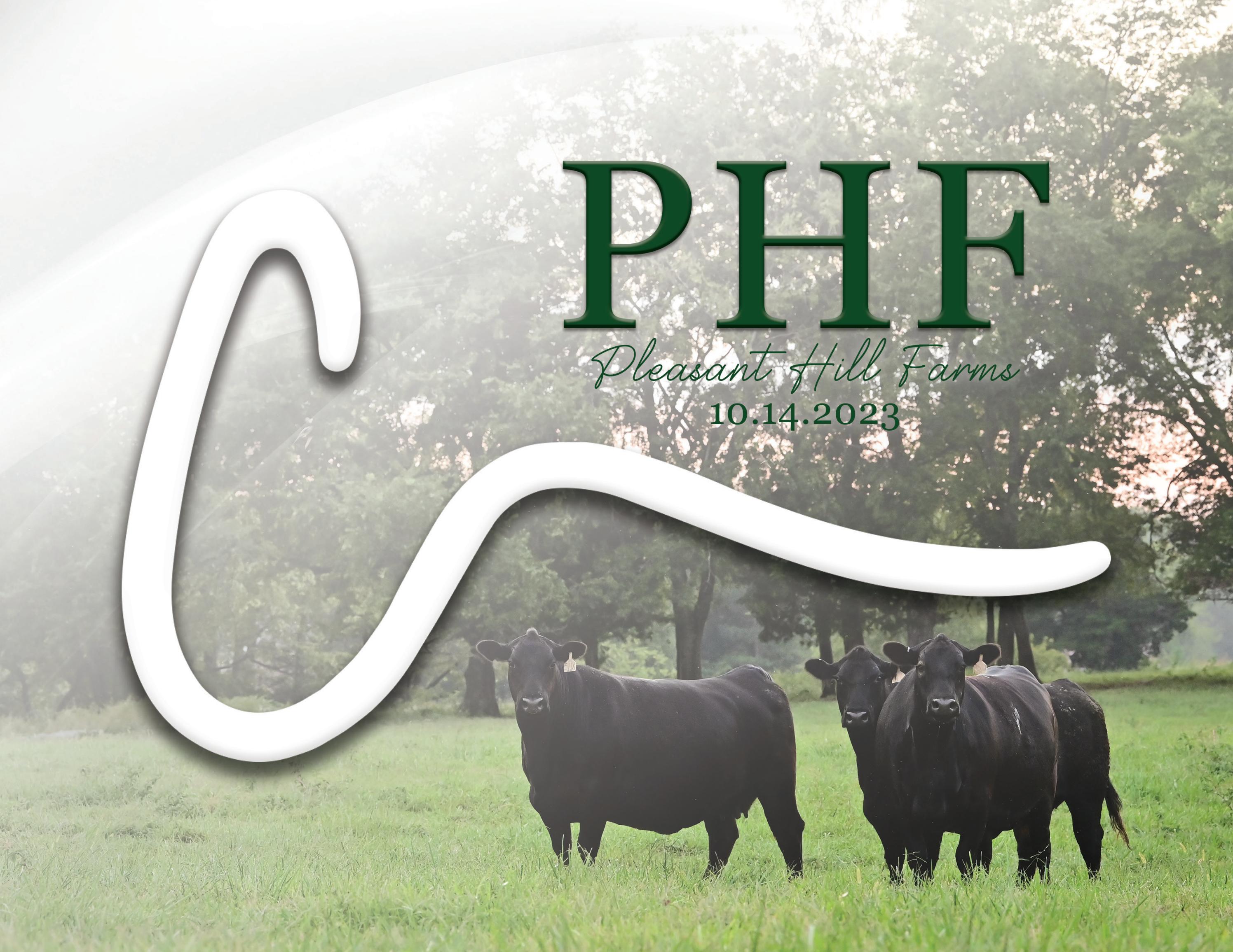 PHF Fall 2023 Sale by Focus Marketing Group, Inc. - Issuu