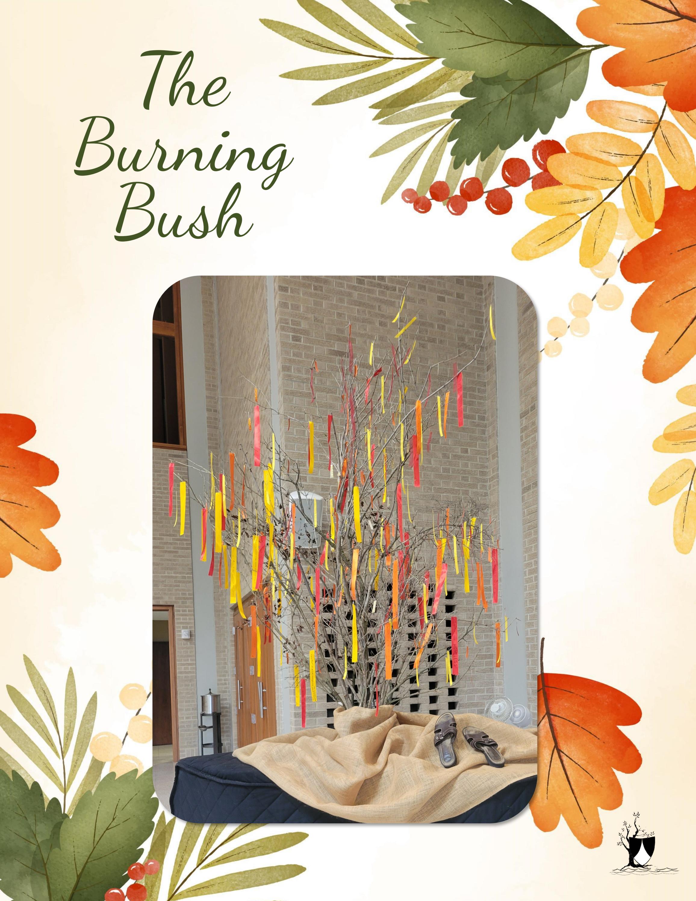 Burning Bush Photo Book 2023 by kmrazek - Issuu