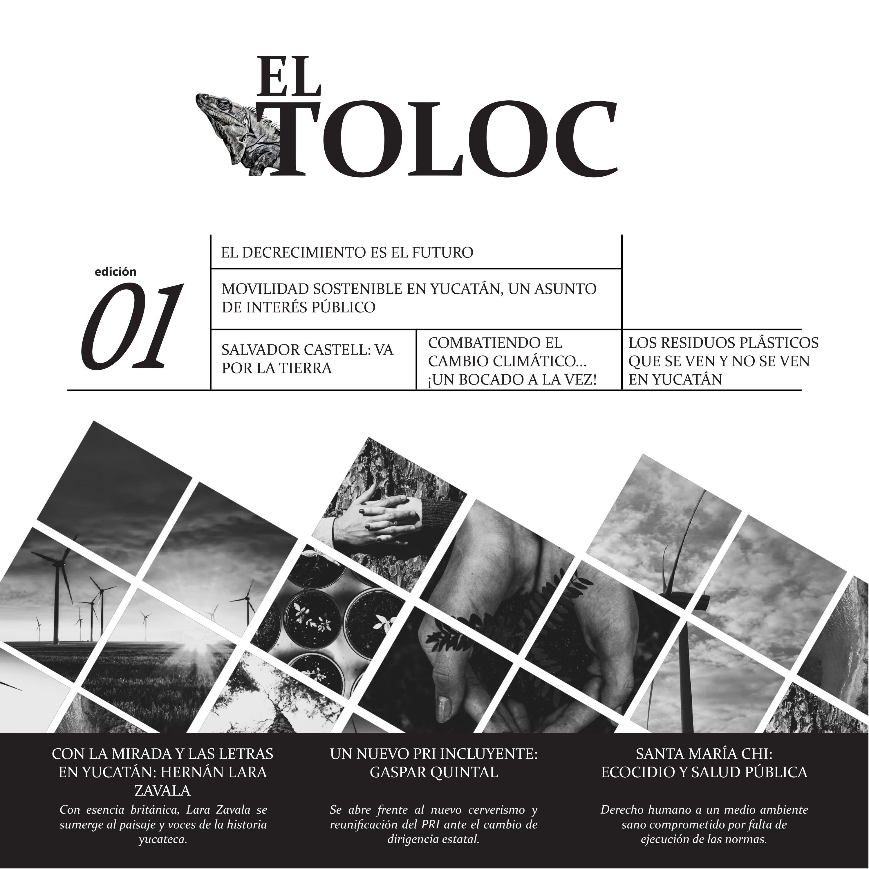 El Toloc 1° Edición by Monica Fueyo Torres - Issuu