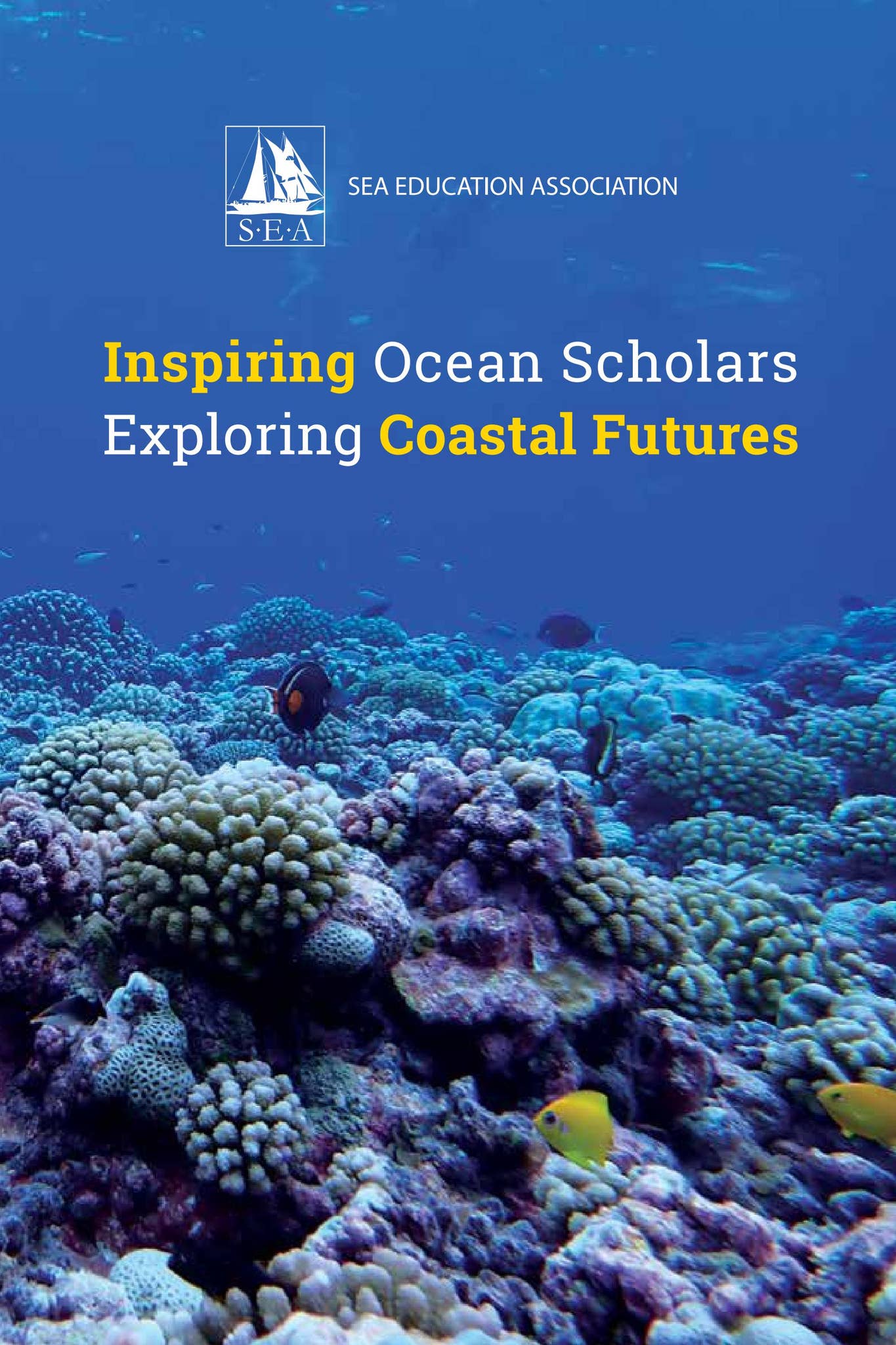 Undergraduate Viewbook by Sea Education Association - Issuu