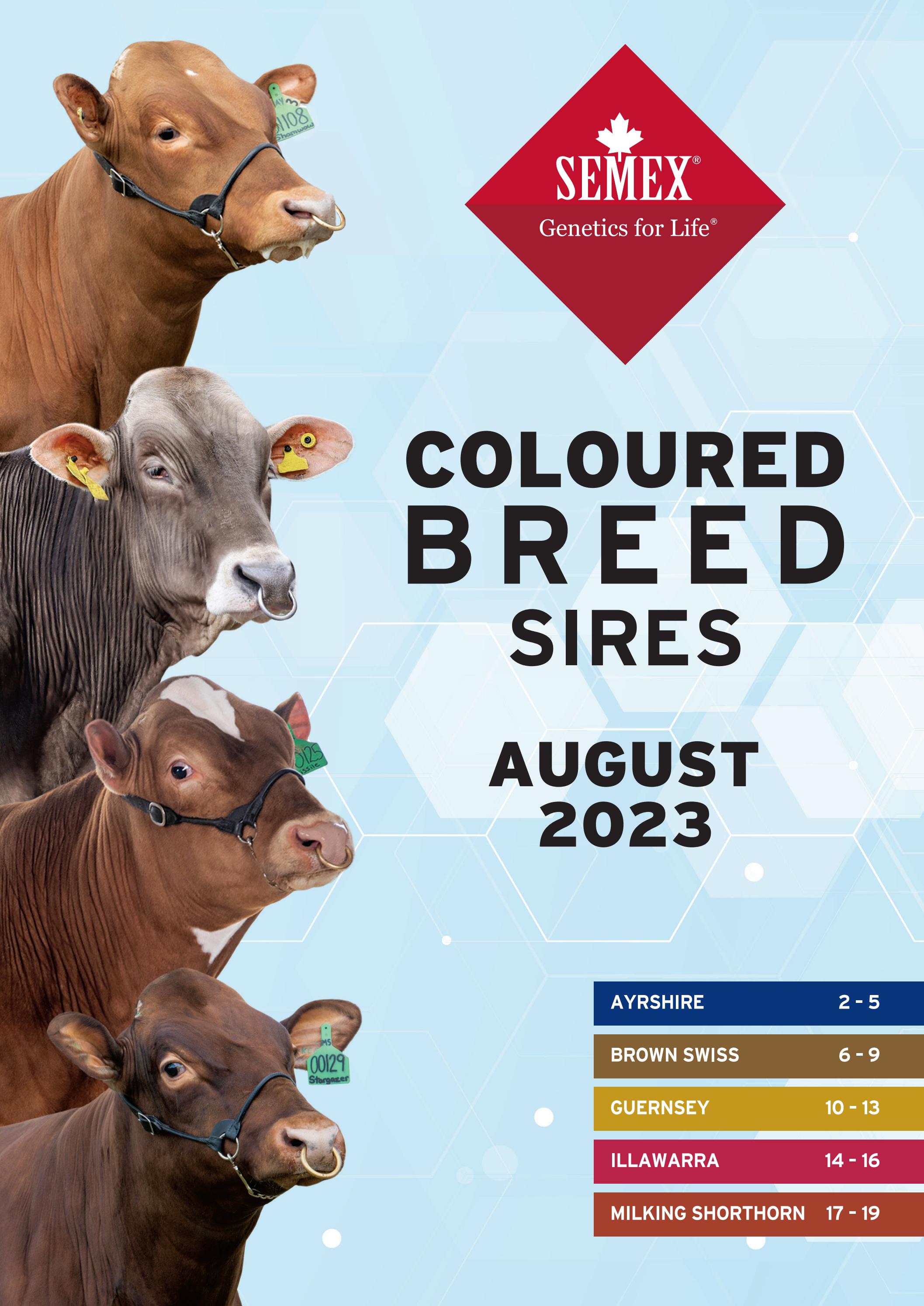 Semex - August 2023 Australia Colour Breed Catalogue by Semex - Issuu
