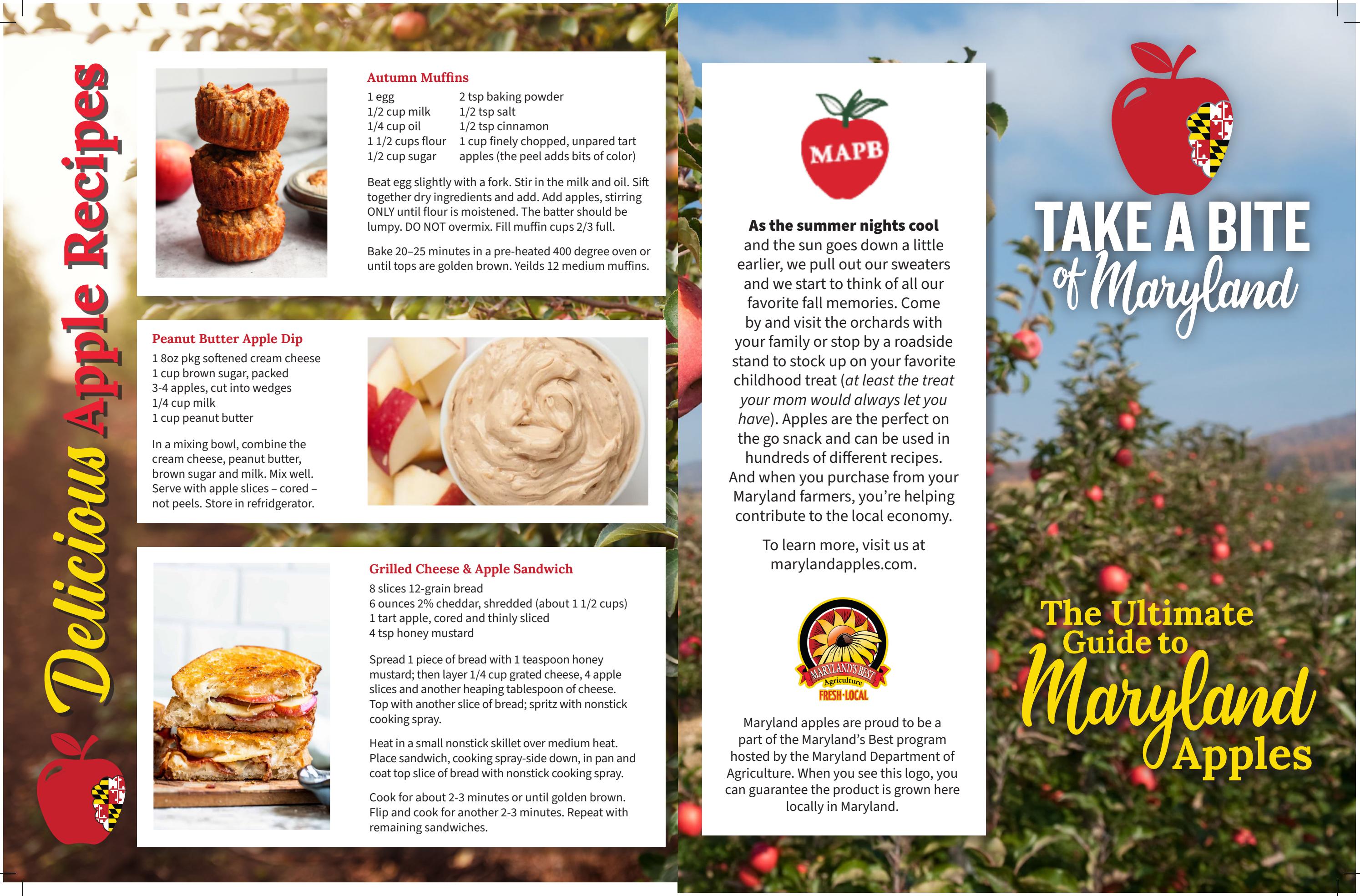 Maryland Apple Brochure by Marylands-Best - Issuu