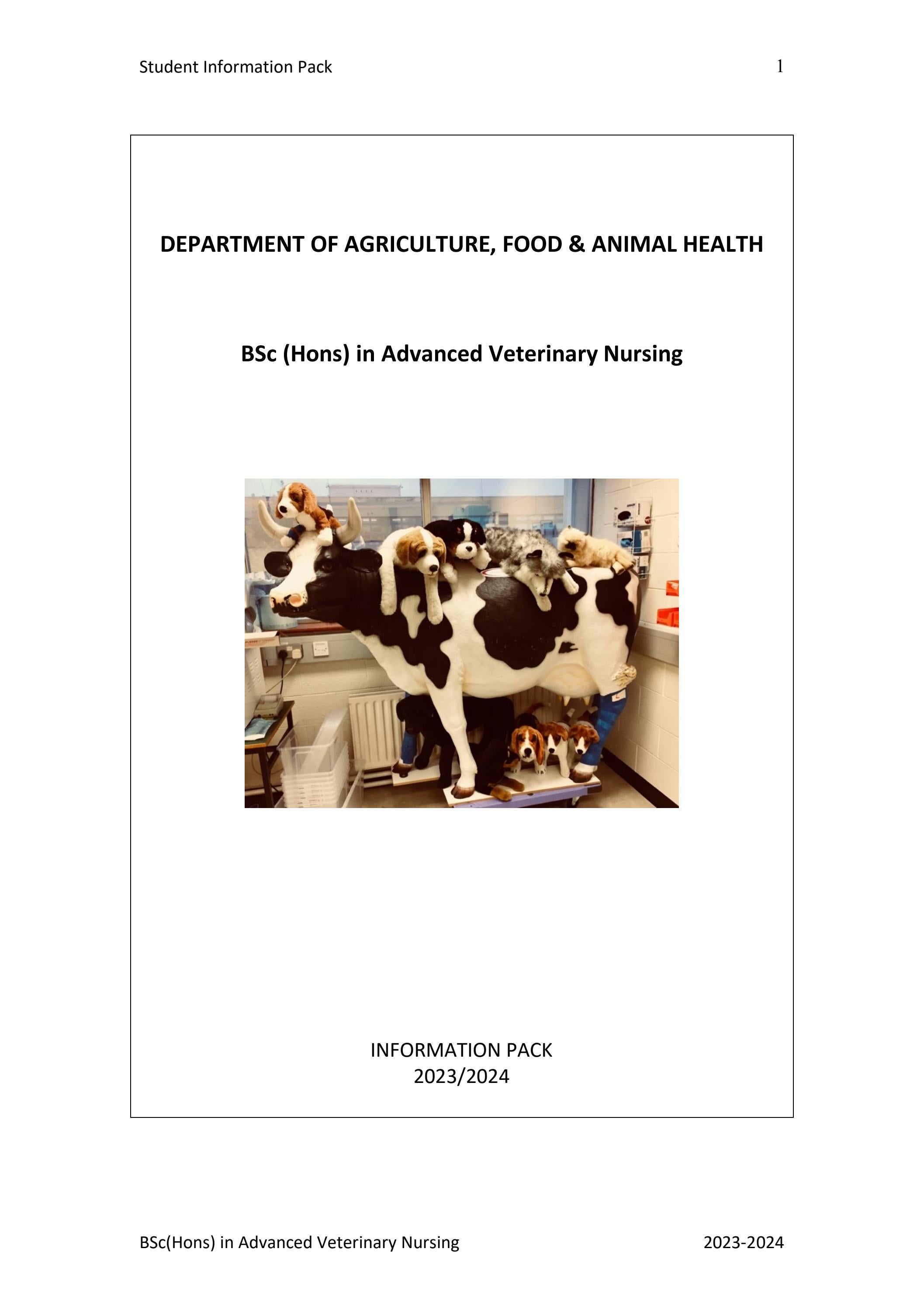 VN4 Student Information Pack 2023-2024 by jade.pollock - Issuu