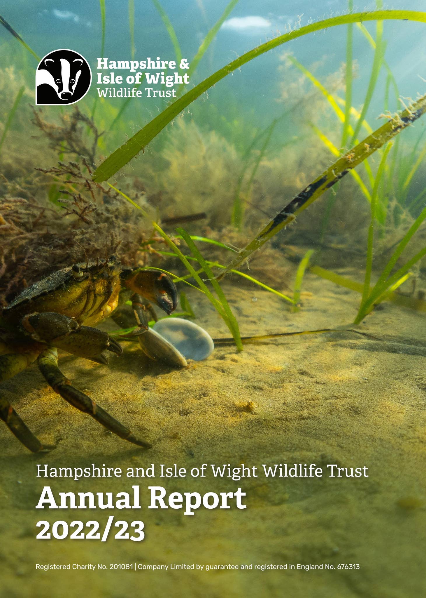 Hampshire and Isle of Wight Wildlife Trust Annual Report by Hampshire & Isle of Wight Wildlife ...