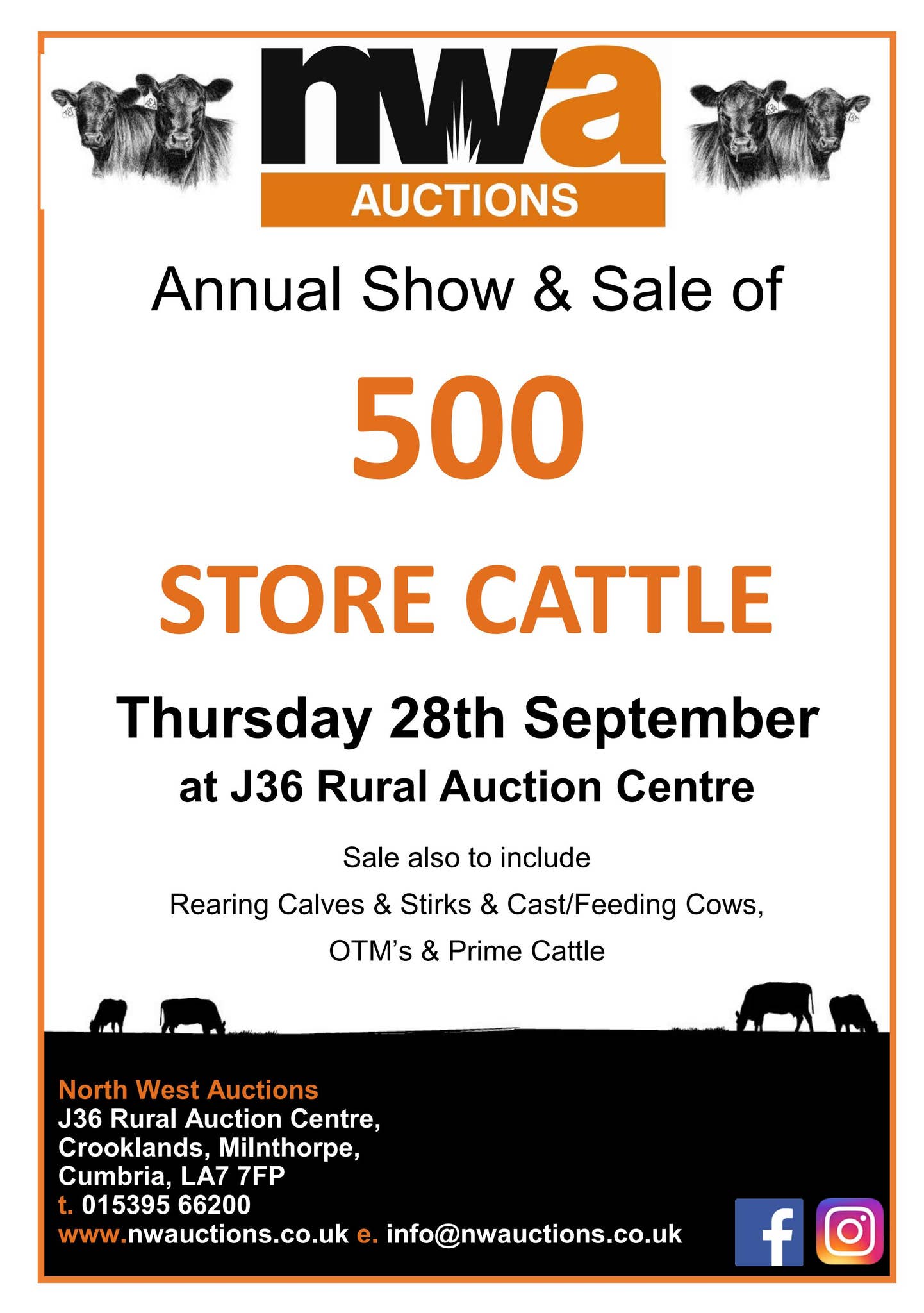 J36 Store Cattle, 28th September 2023 by North West Auctions - Issuu