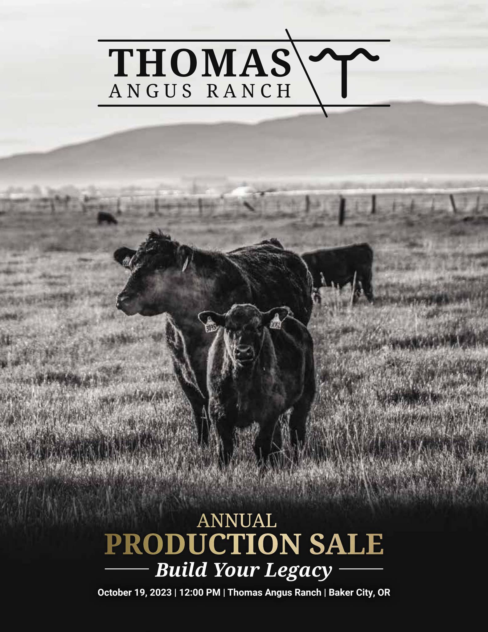 Thomas Angus Ranch Annual Production Sale - 2023 by Generation 6 ...
